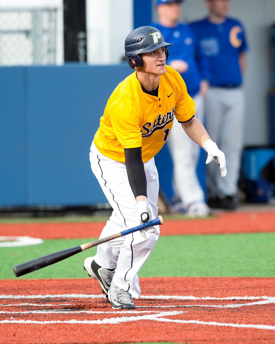 Cory Capaldi - 2017 - Baseball - Pace University Athletics