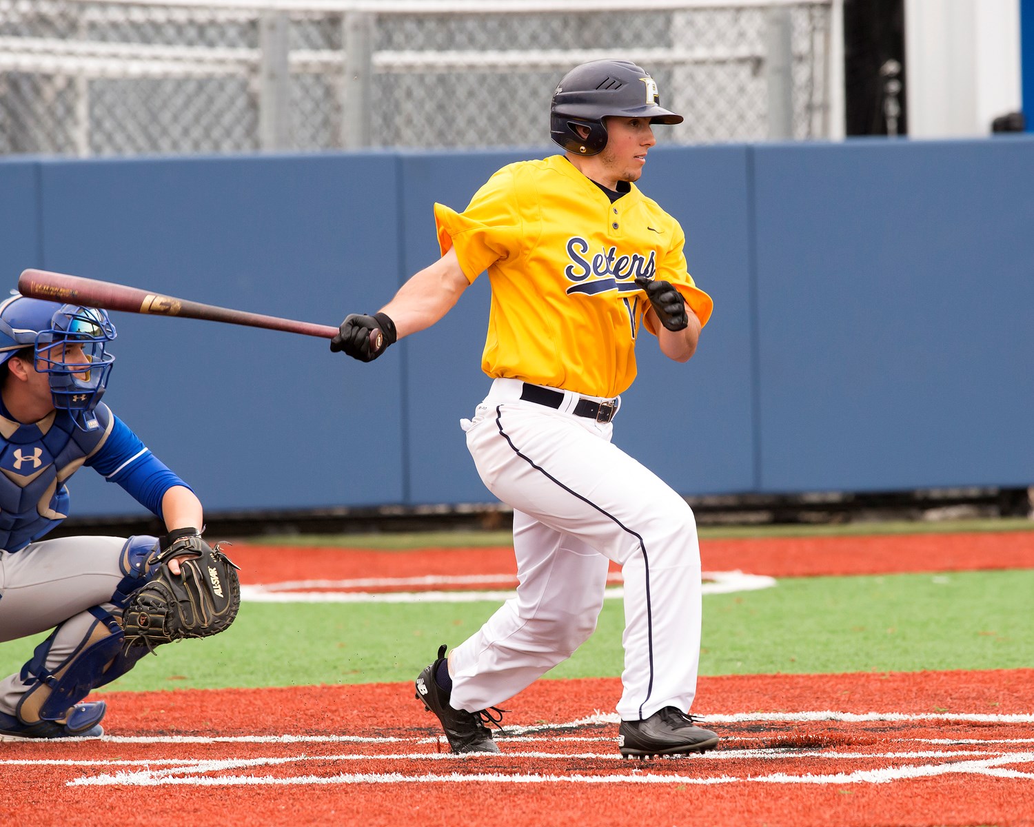 Alec Petrone - 2016 - Baseball - Pace University Athletics