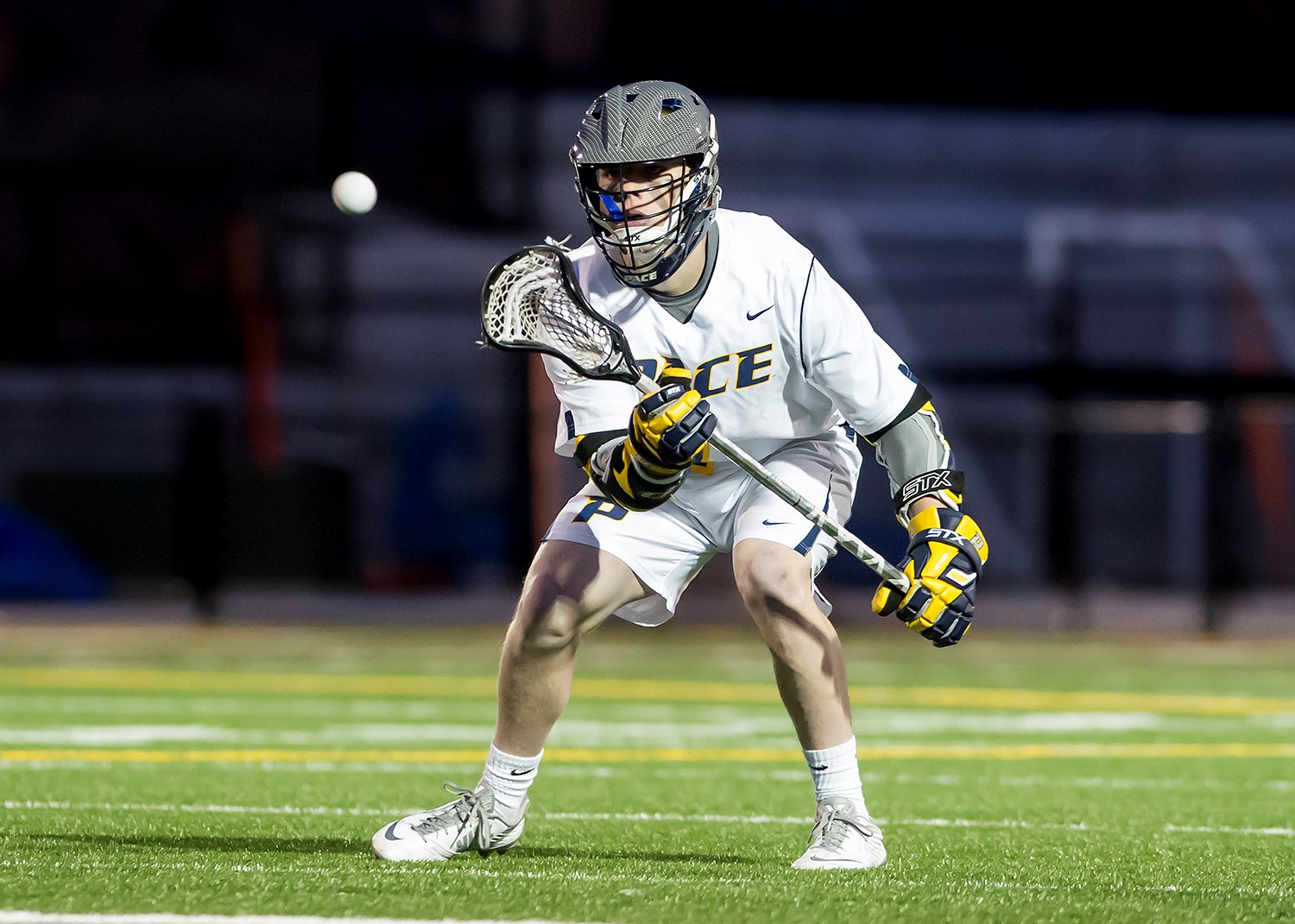 Matthew Cossidente - 2016 - Men's Lacrosse - Pace University Athletics