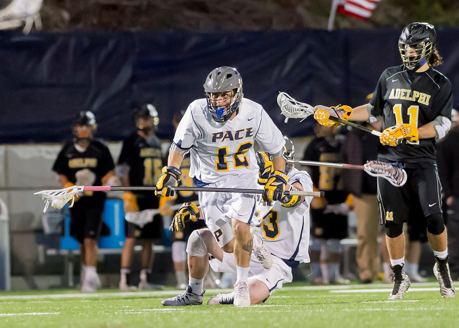 Jeremy Wiley - 2015 - Men's Lacrosse - Pace University Athletics