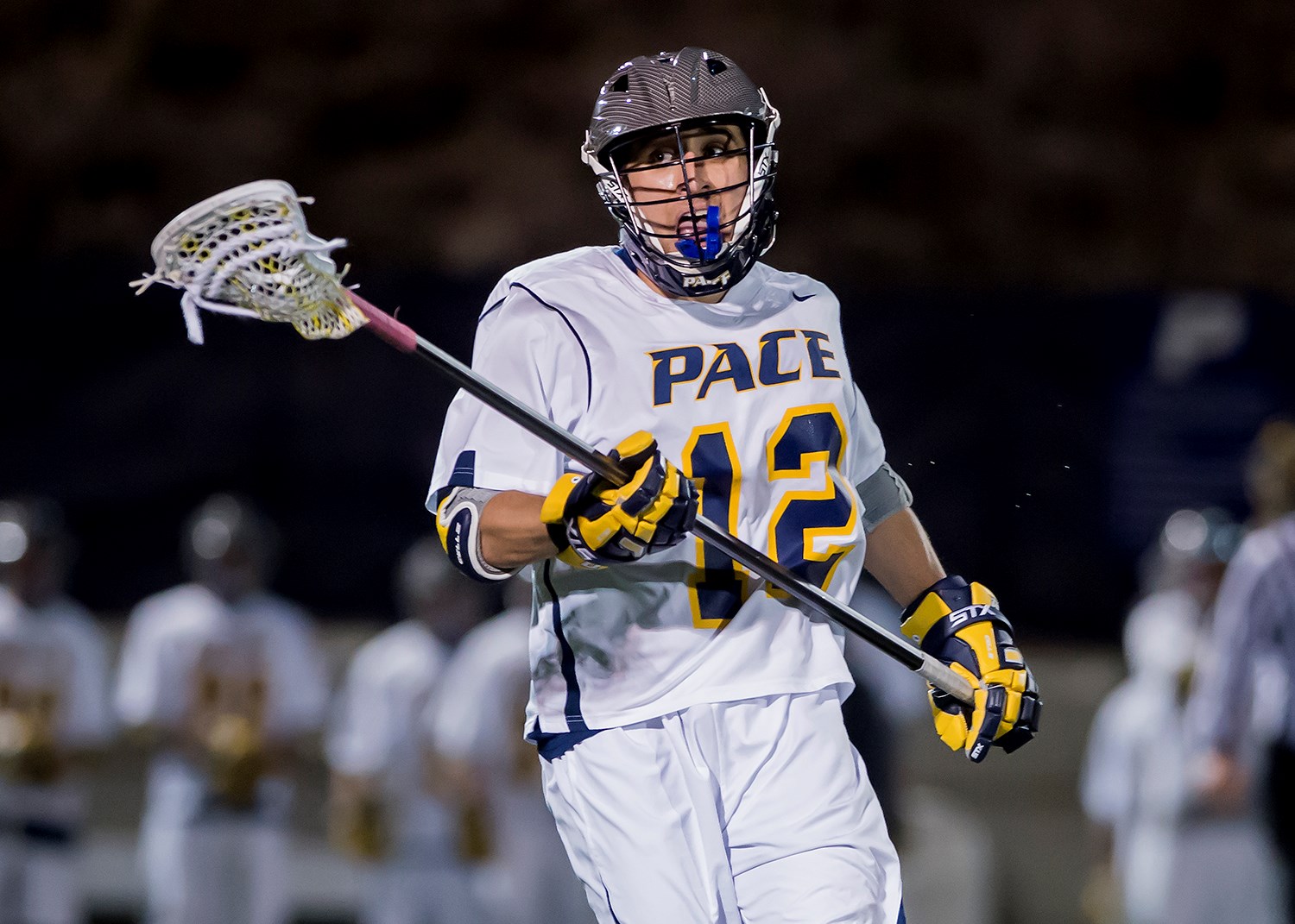 Jeremy Wiley - 2015 - Men's Lacrosse - Pace University Athletics