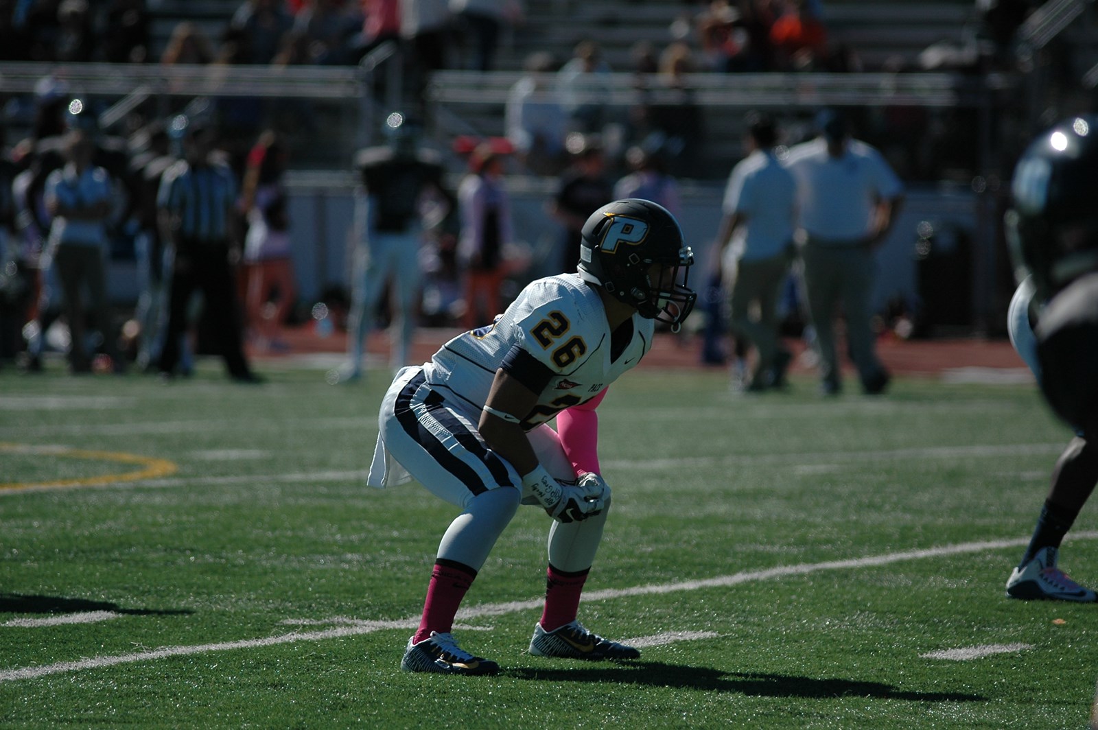 Brandon Young - 2016 - Football - Pace University Athletics