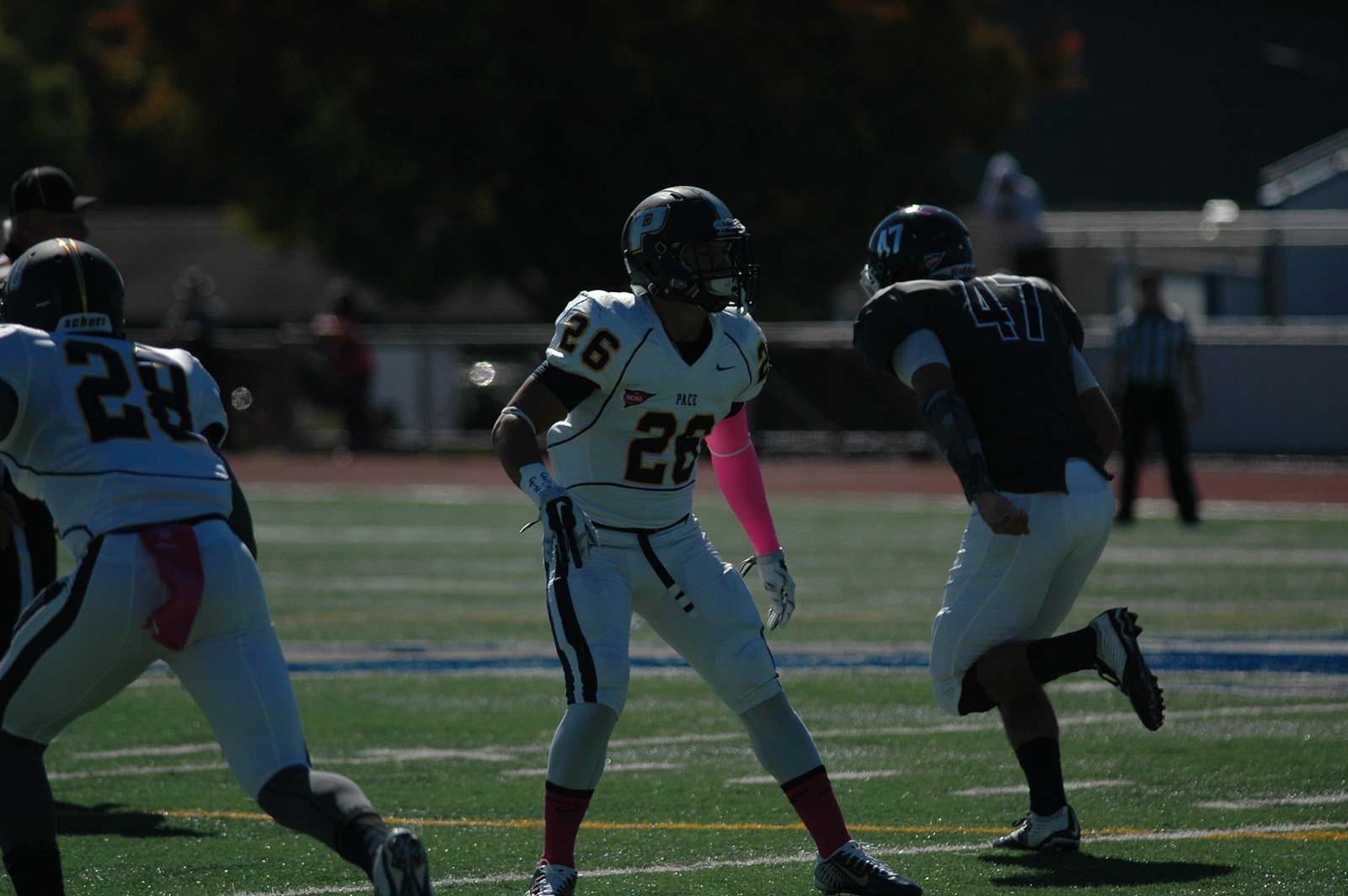 Brandon Young - 2016 - Football - Pace University Athletics