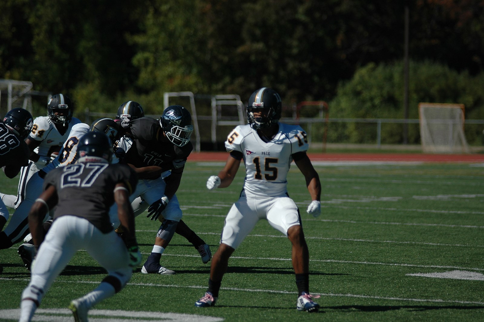 Alex Toplyn - 2018 - Football - Pace University Athletics