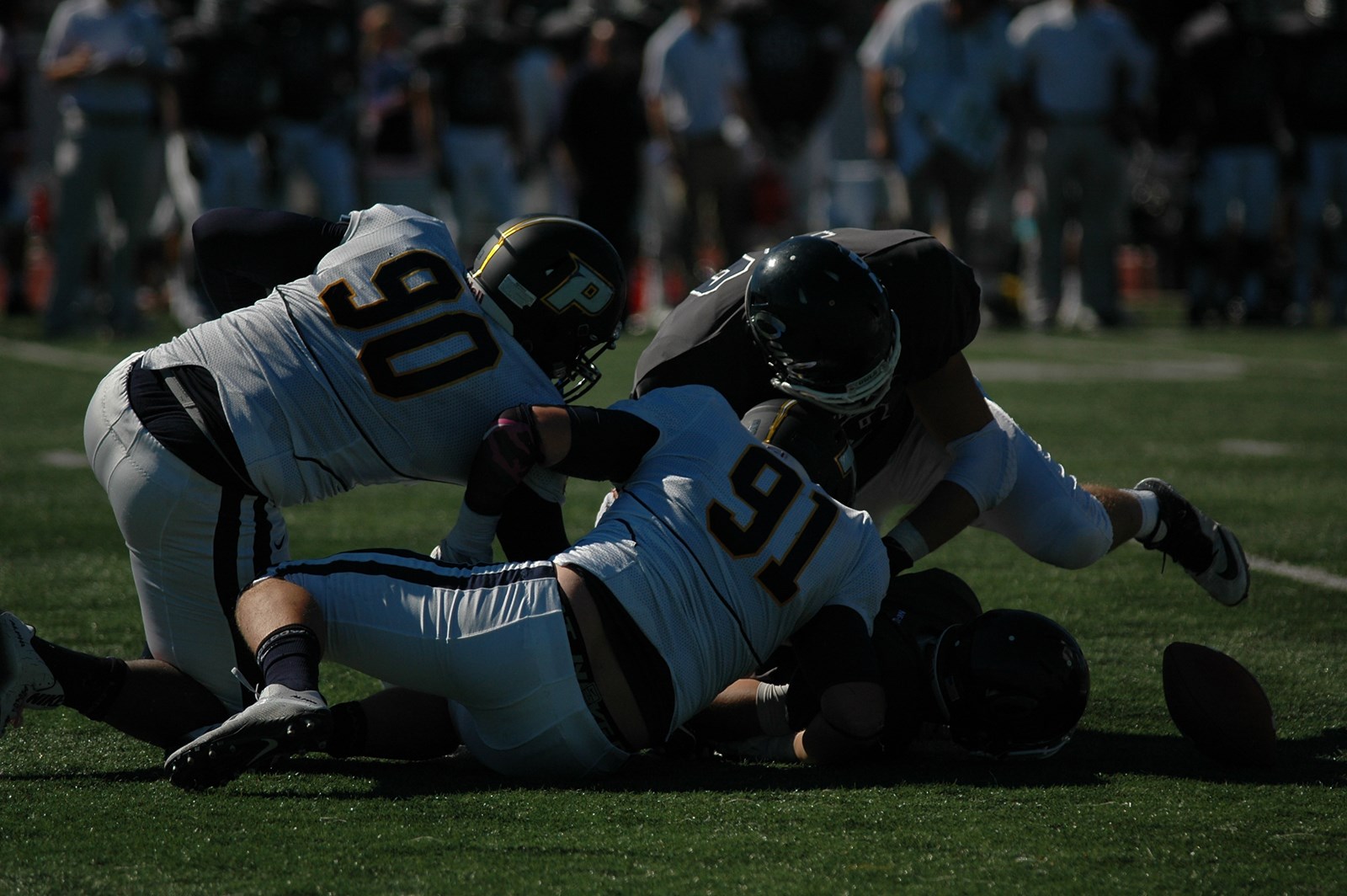 Gavin Maher - 2016 - Football - Pace University Athletics