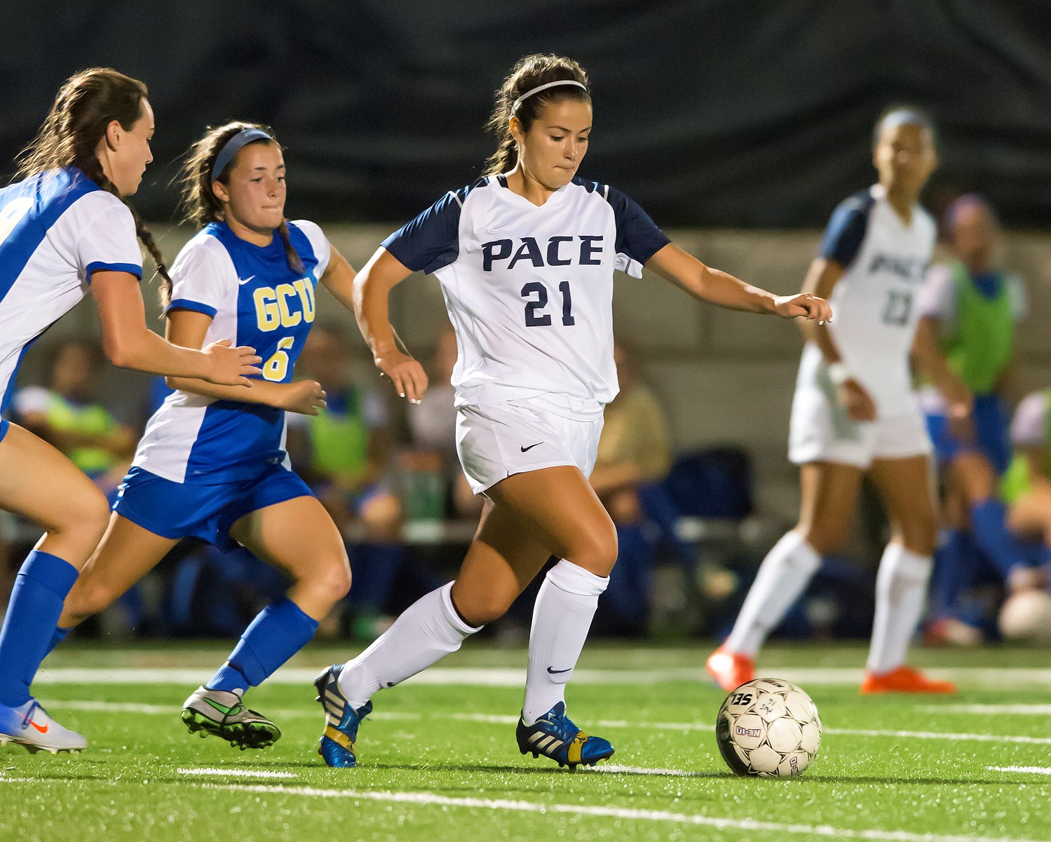 Gabby Picciano - 2016 - Women's Soccer - Pace University Athletics