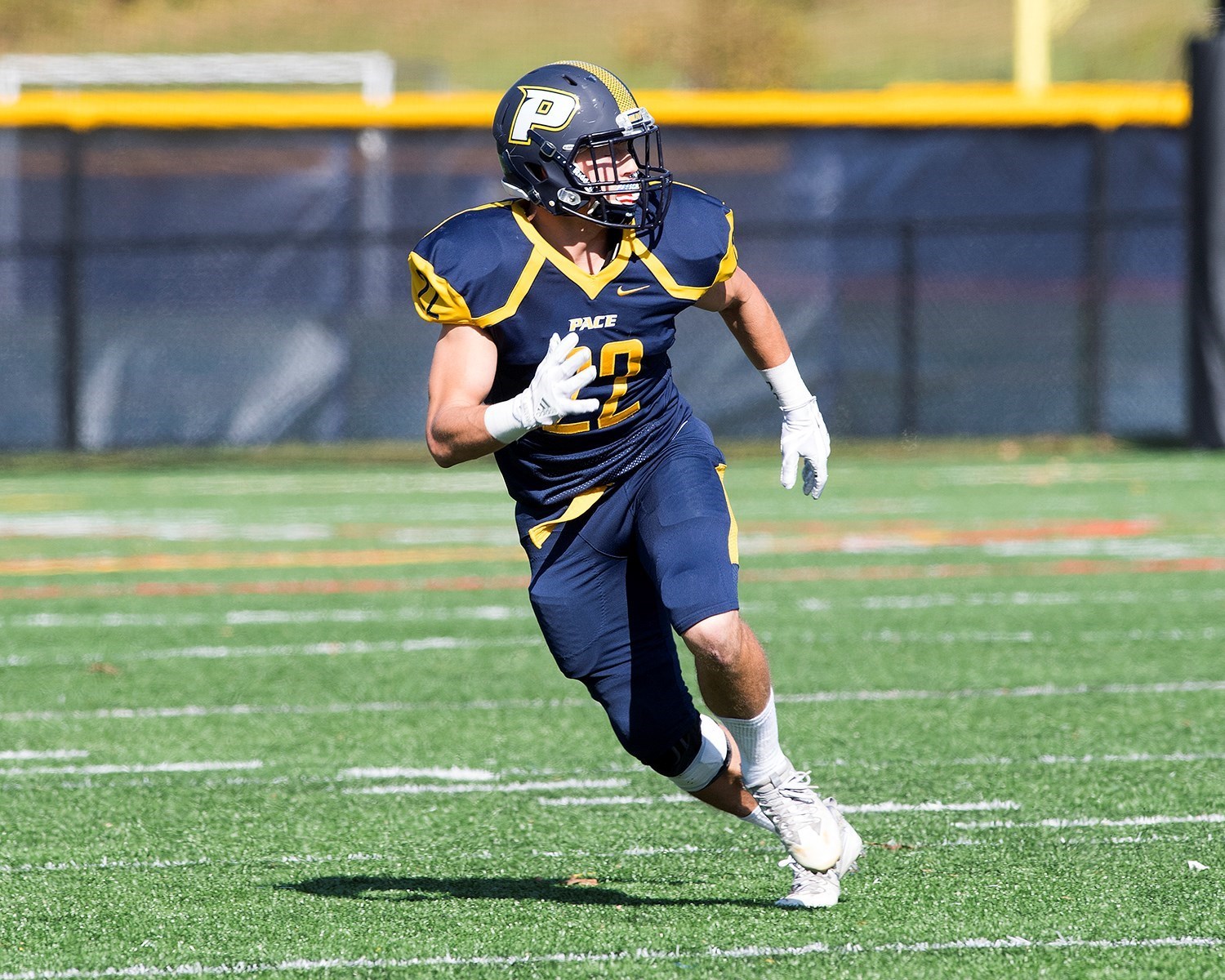 Nick DeVere - 2017 - Football - Pace University Athletics