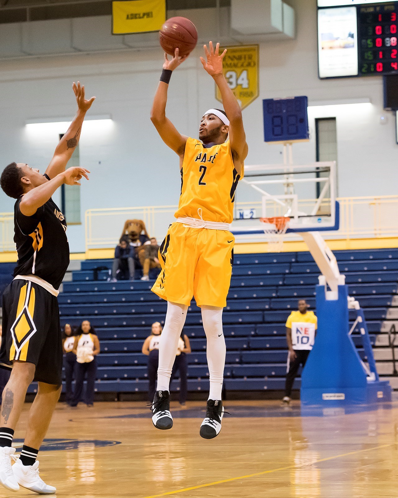 Dana Raysor - 2017-18 - Men's Basketball - Pace University Athletics