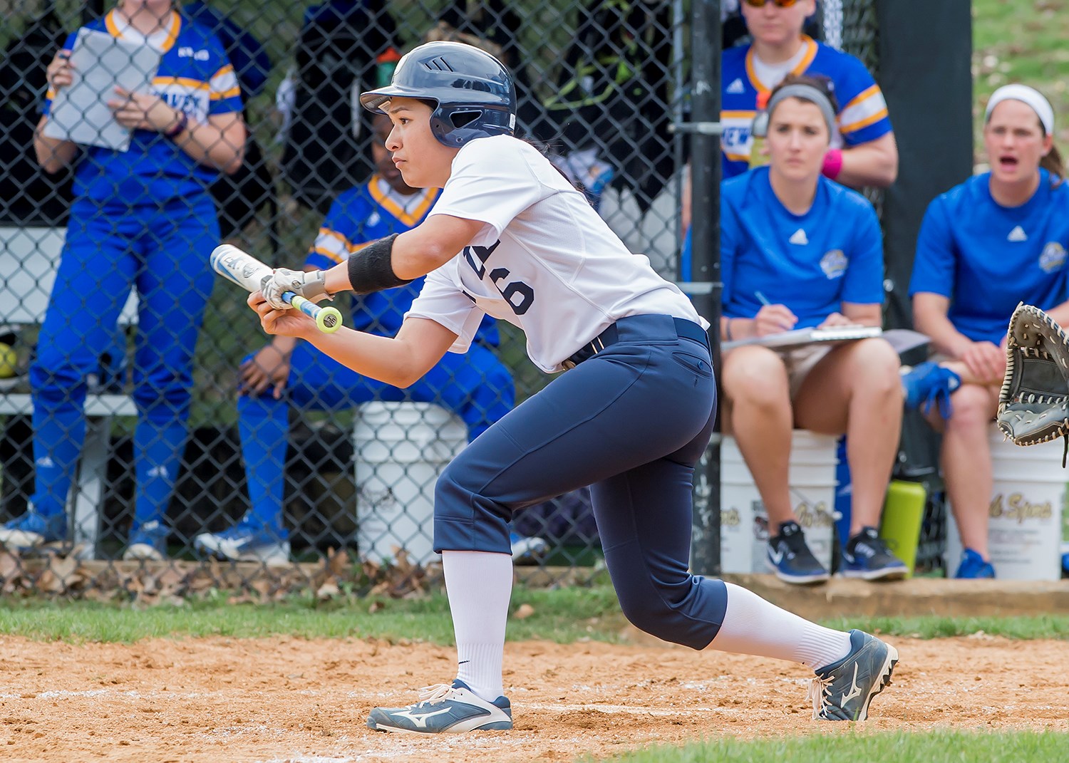 Lindsey Ah Soon - 2019 - Softball - Pace University Athletics