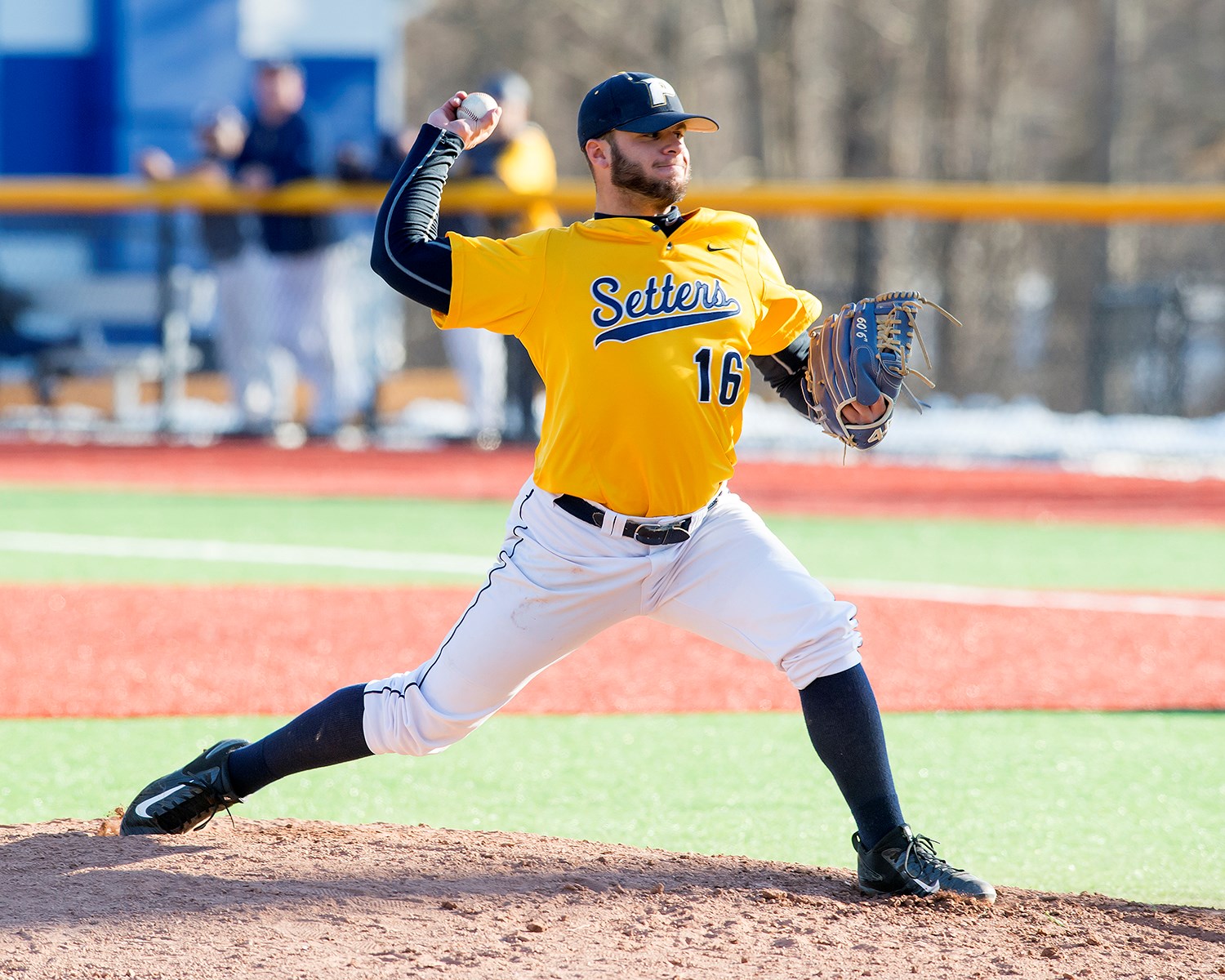 Anthony Criscione - 2019 - Baseball - Pace University Athletics