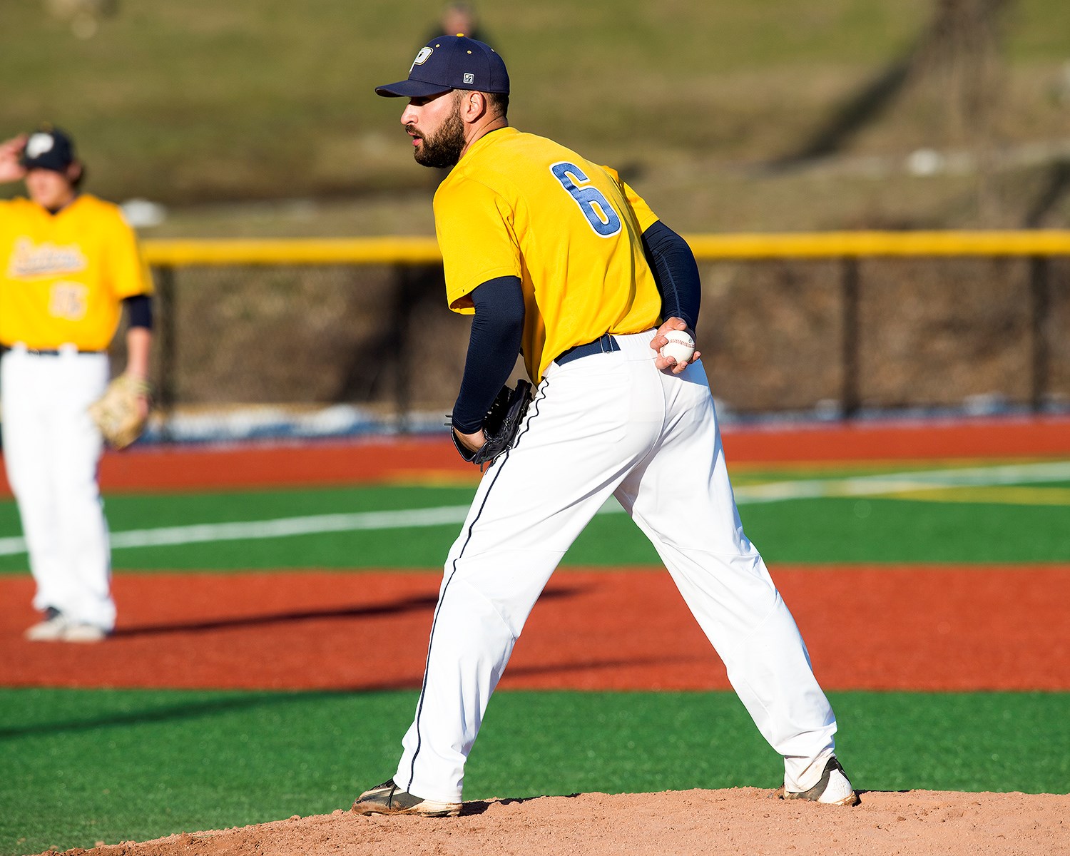 Michael Amato - 2017 - Baseball - Pace University Athletics