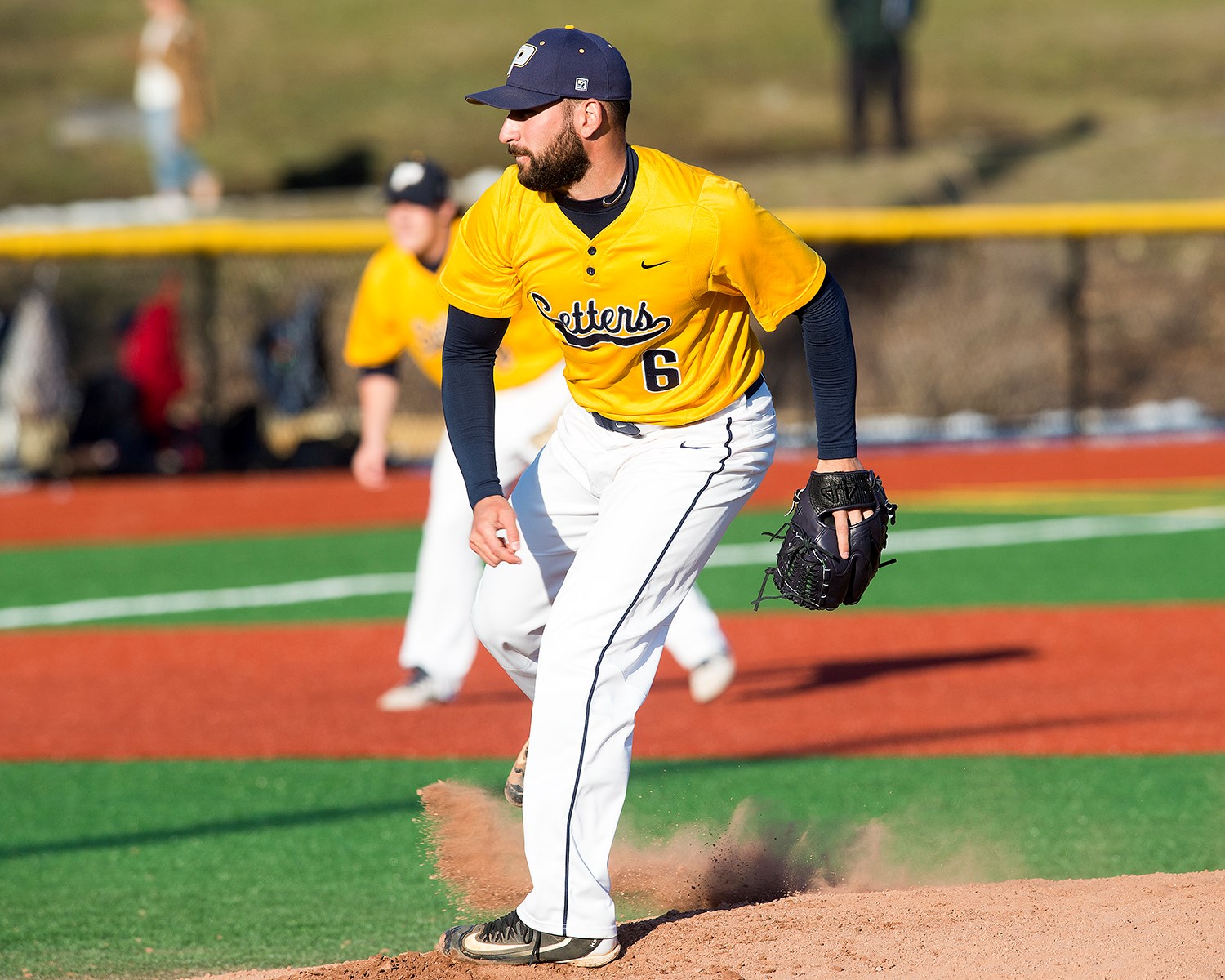 Michael Amato - 2017 - Baseball - Pace University Athletics