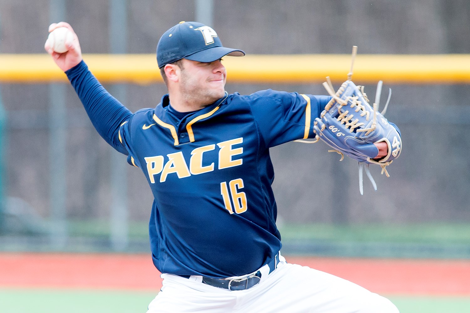 Anthony Criscione - 2019 - Baseball - Pace University Athletics