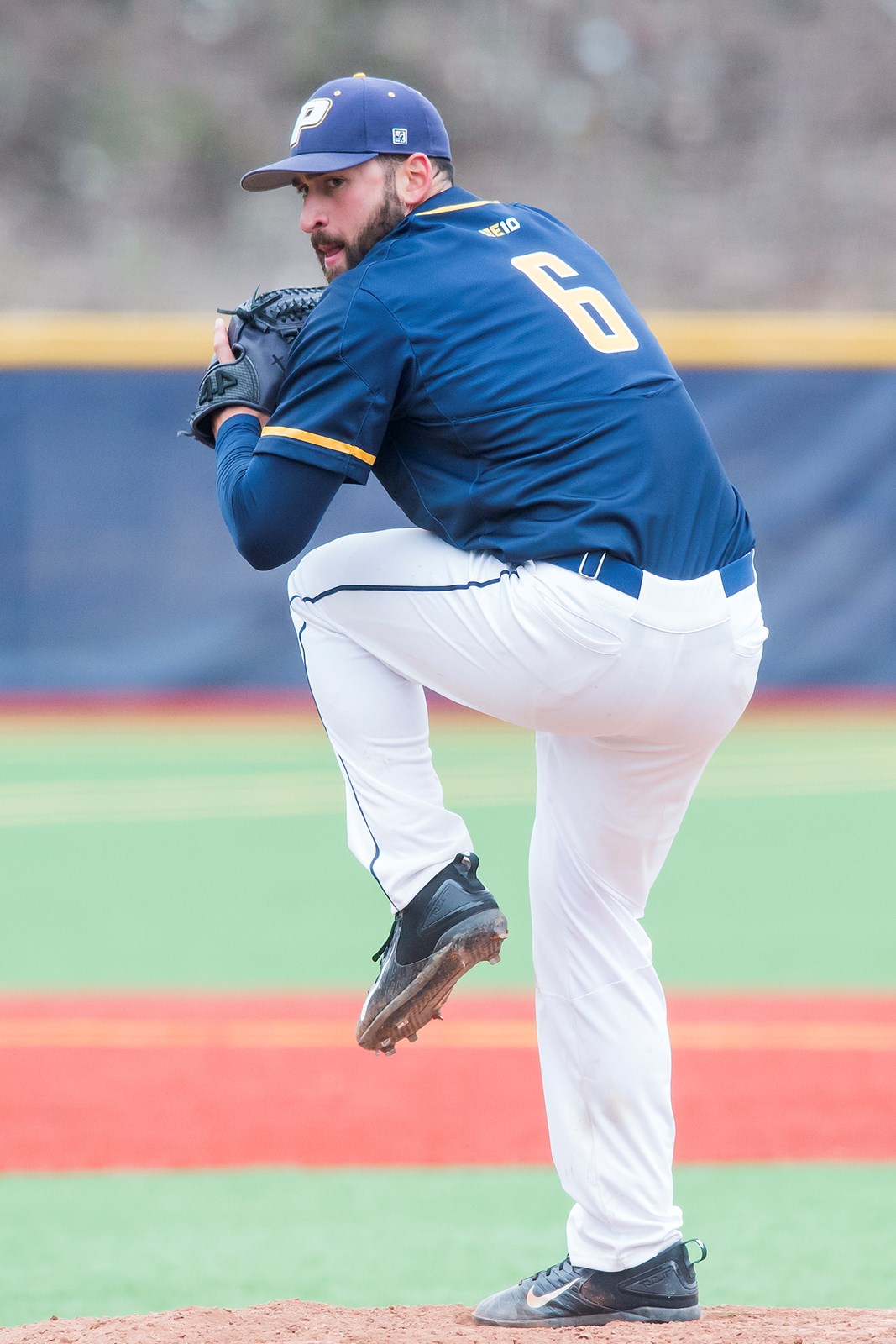 Michael Amato - 2017 - Baseball - Pace University Athletics