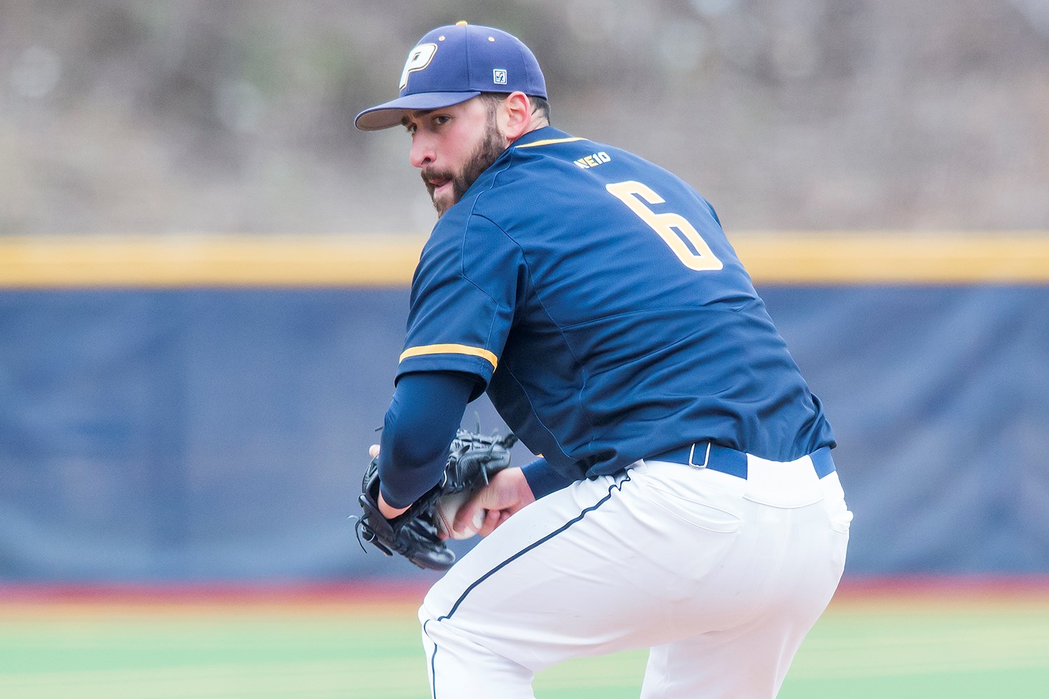 Michael Amato - 2017 - Baseball - Pace University Athletics