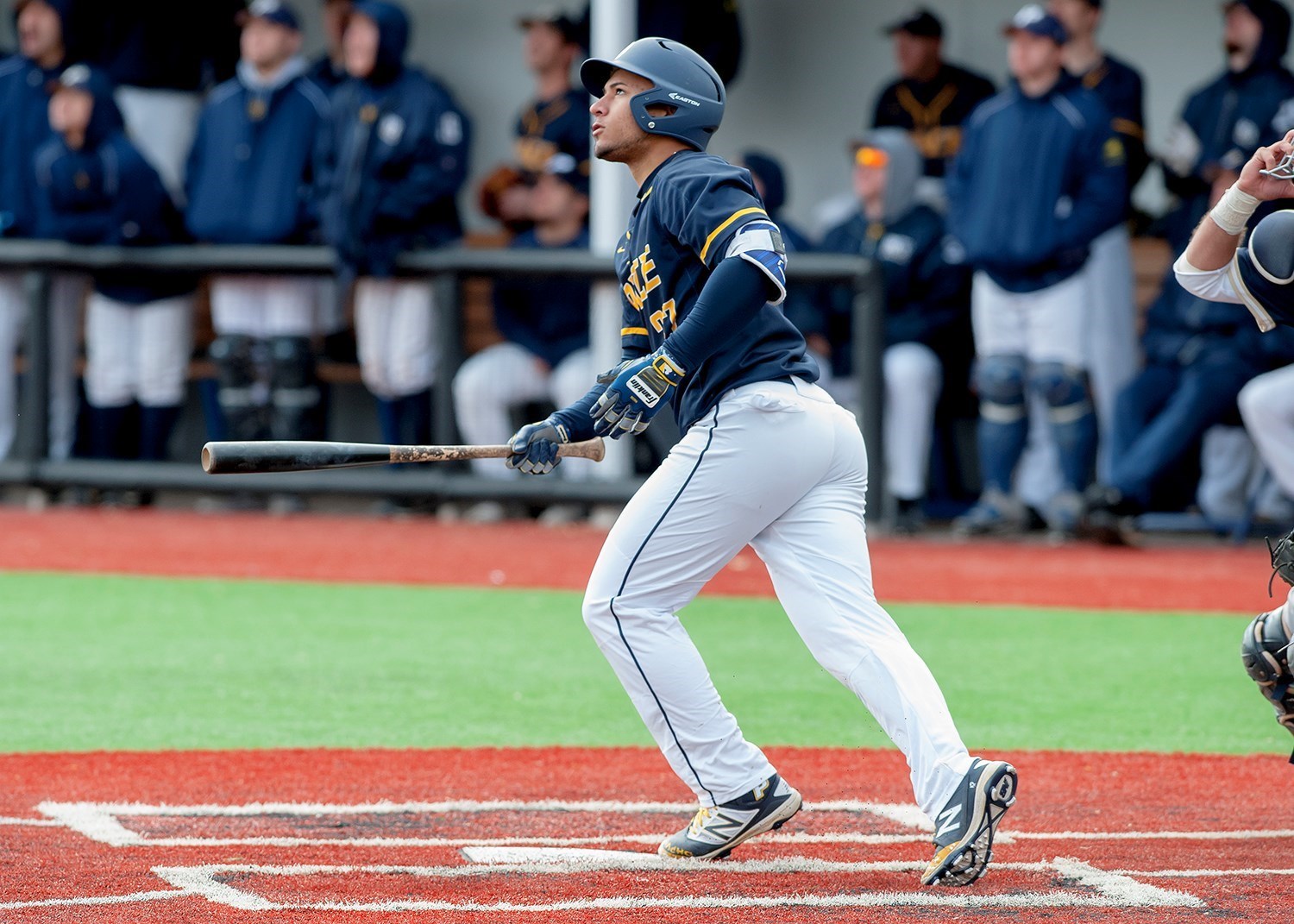 Felix Camacho - 2019 - Baseball - Pace University Athletics