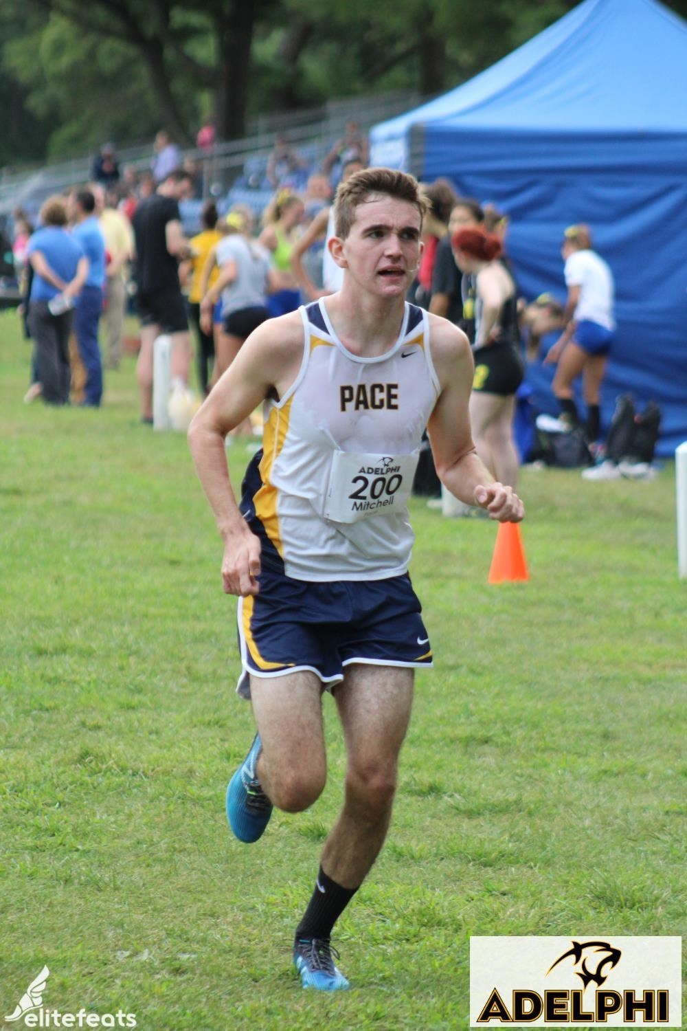 Mitchell Lawrence - 2018 - Men's Cross Country - Pace University Athletics