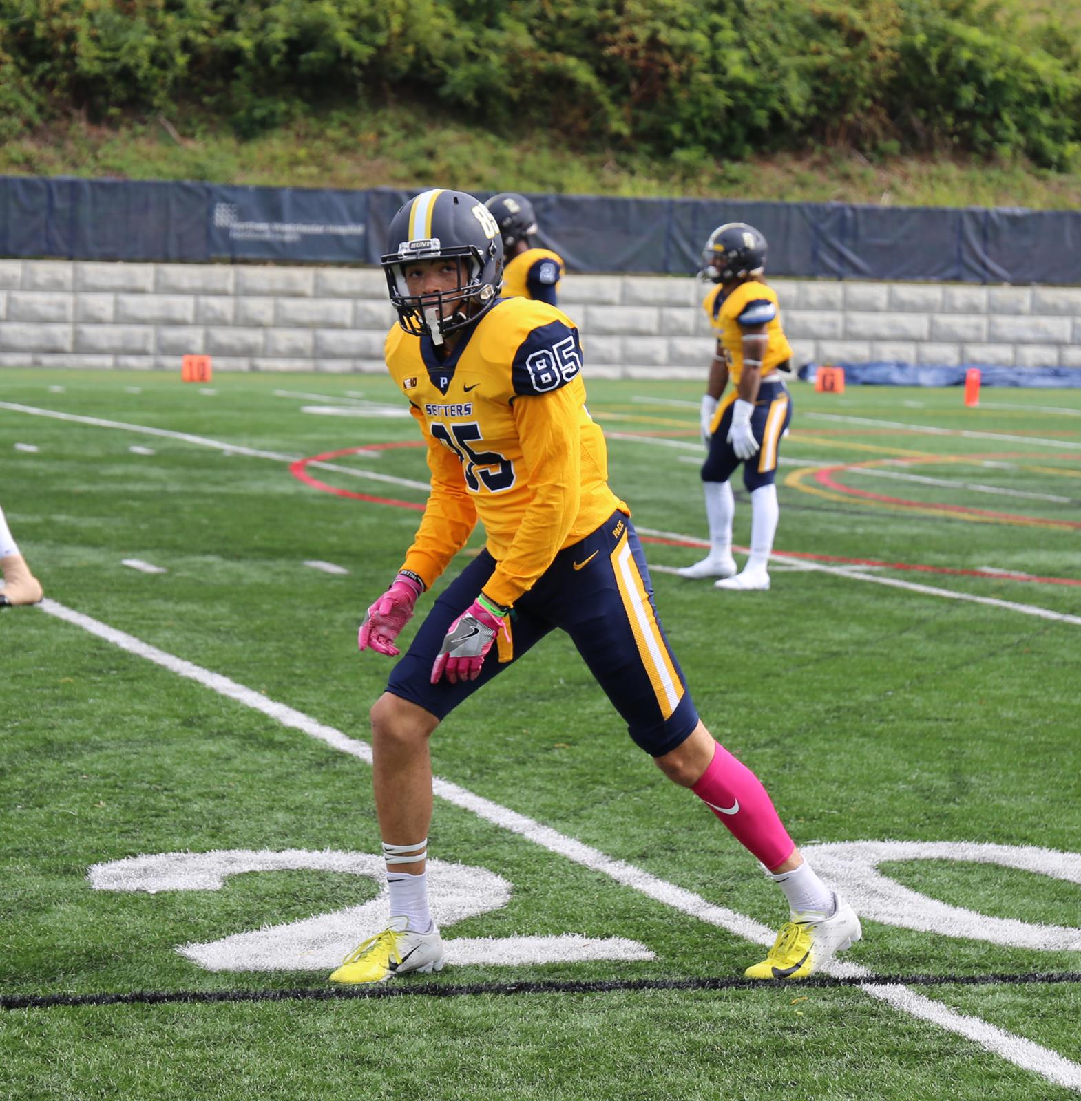 Jared Bolden - 2019 - Football - Pace University Athletics