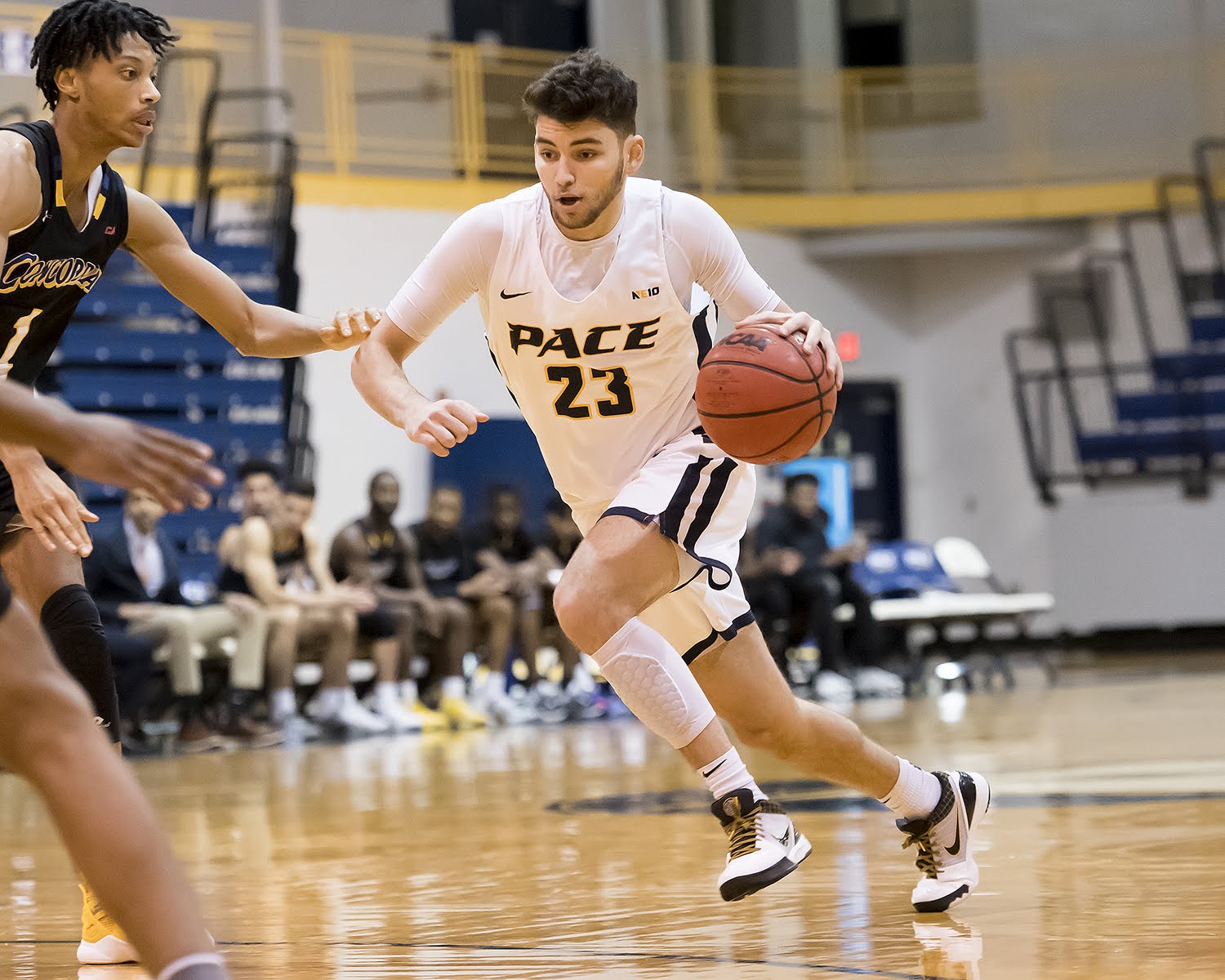 Jeremy Posner - 2021-22 - Men's Basketball - Pace University Athletics