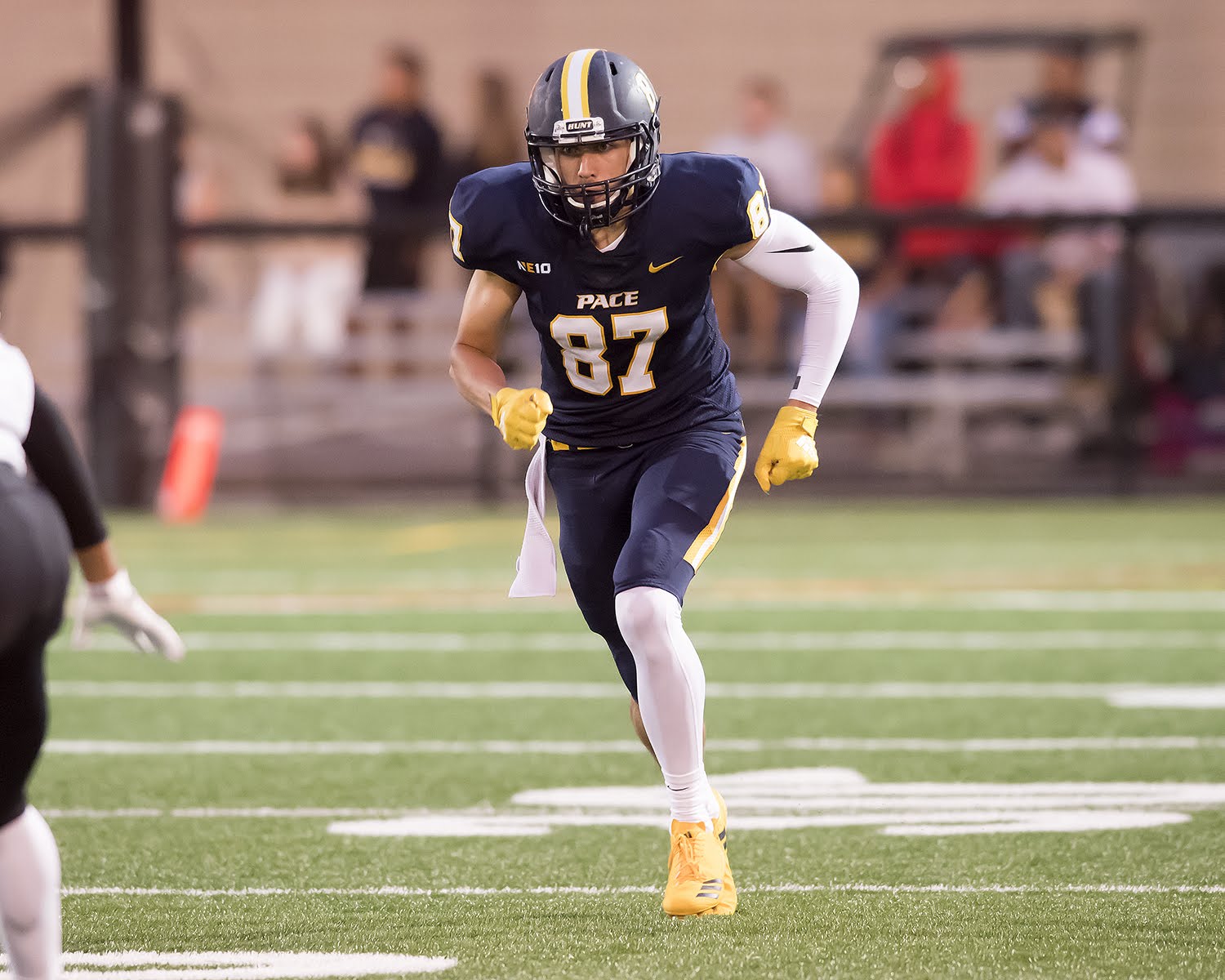 Conor McCormick - 2021 - Football - Pace University Athletics