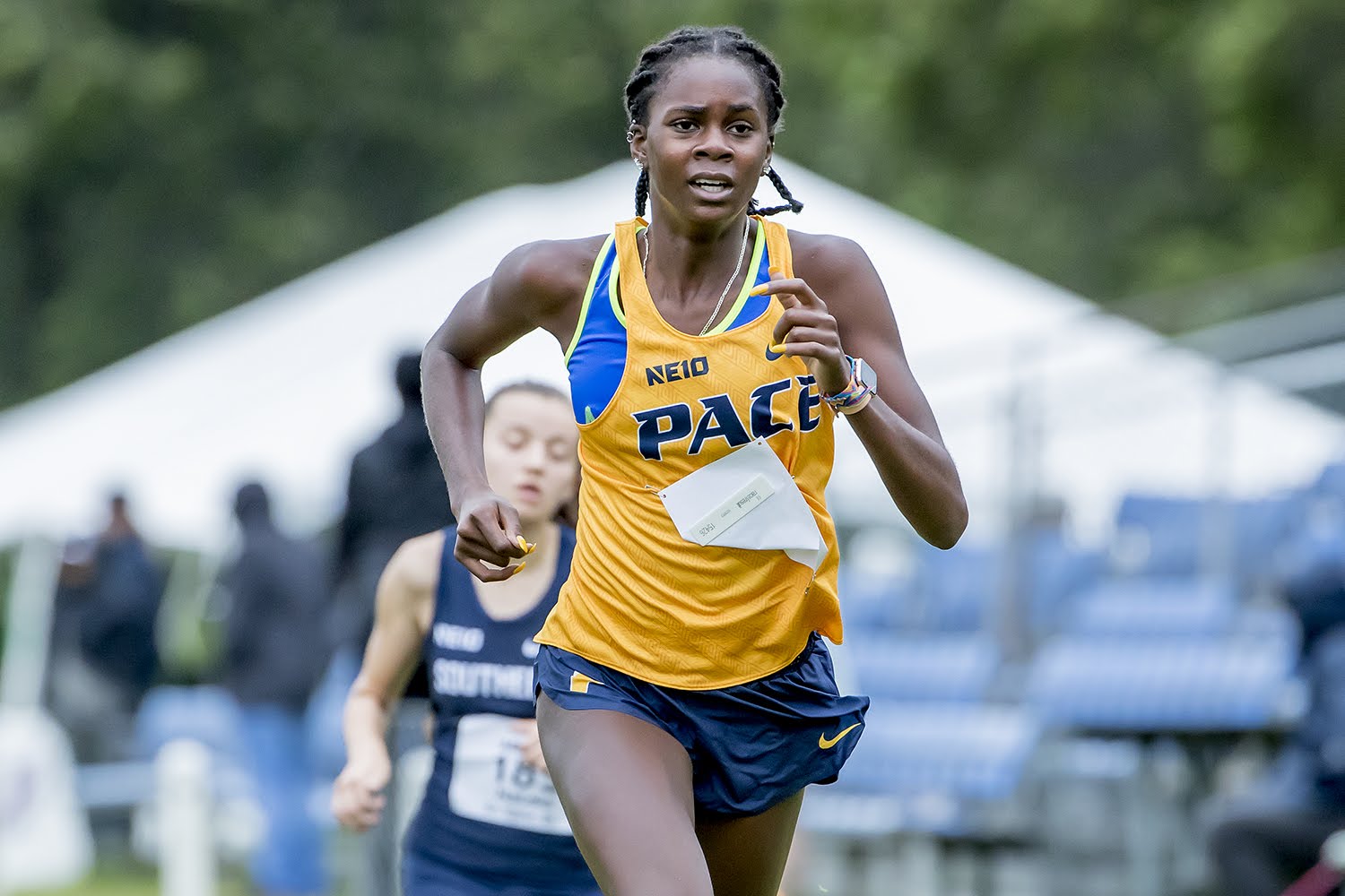 Heaven Swan - 2021 - Women's Cross Country - Pace University Athletics