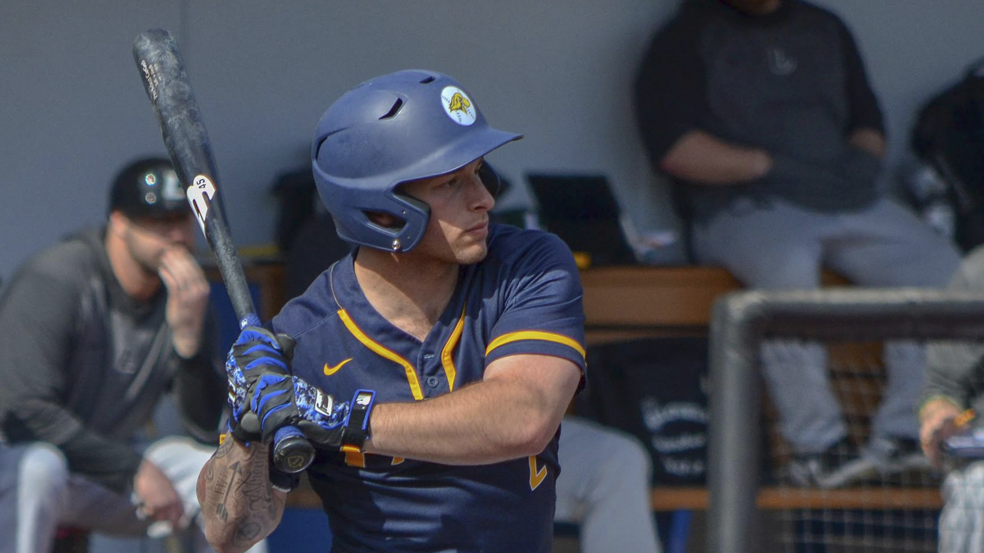 Matt Bass - 2021 - Baseball - Pace University Athletics