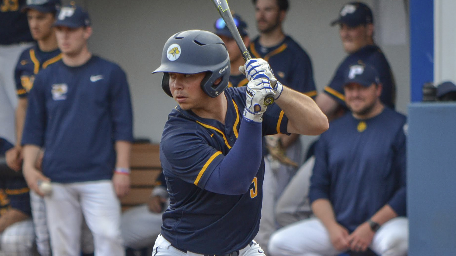 Harrison Treble - 2021 - Baseball - Pace University Athletics