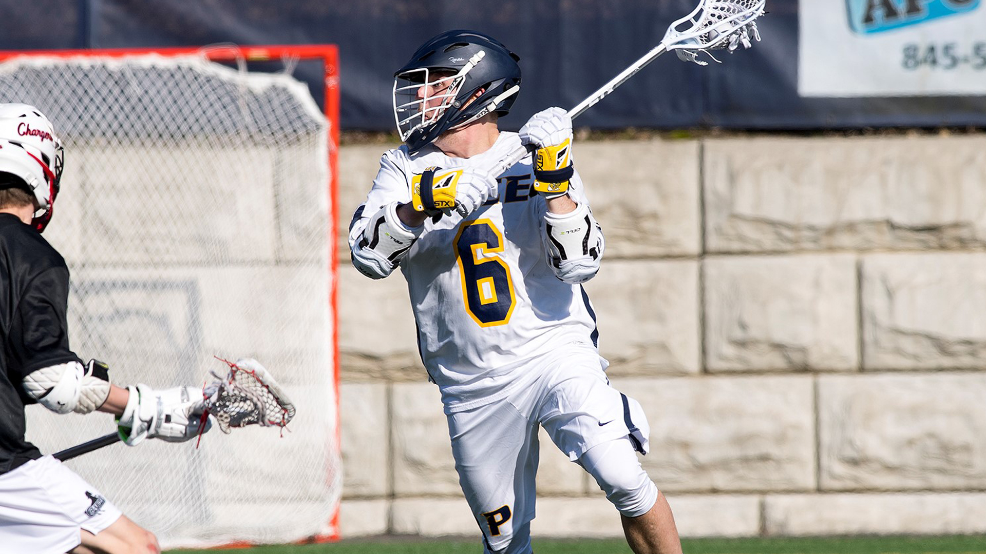 Alan Singleton - 2021 - Men's Lacrosse - Pace University Athletics