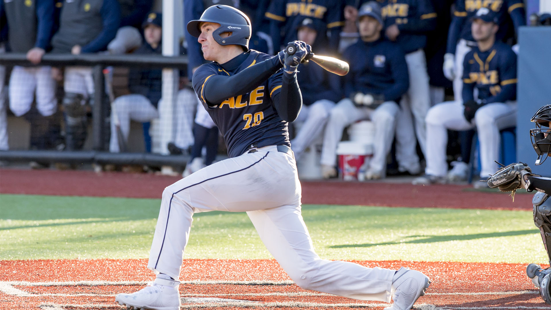 Luke Jacobi - 2023 - Baseball - Pace University Athletics