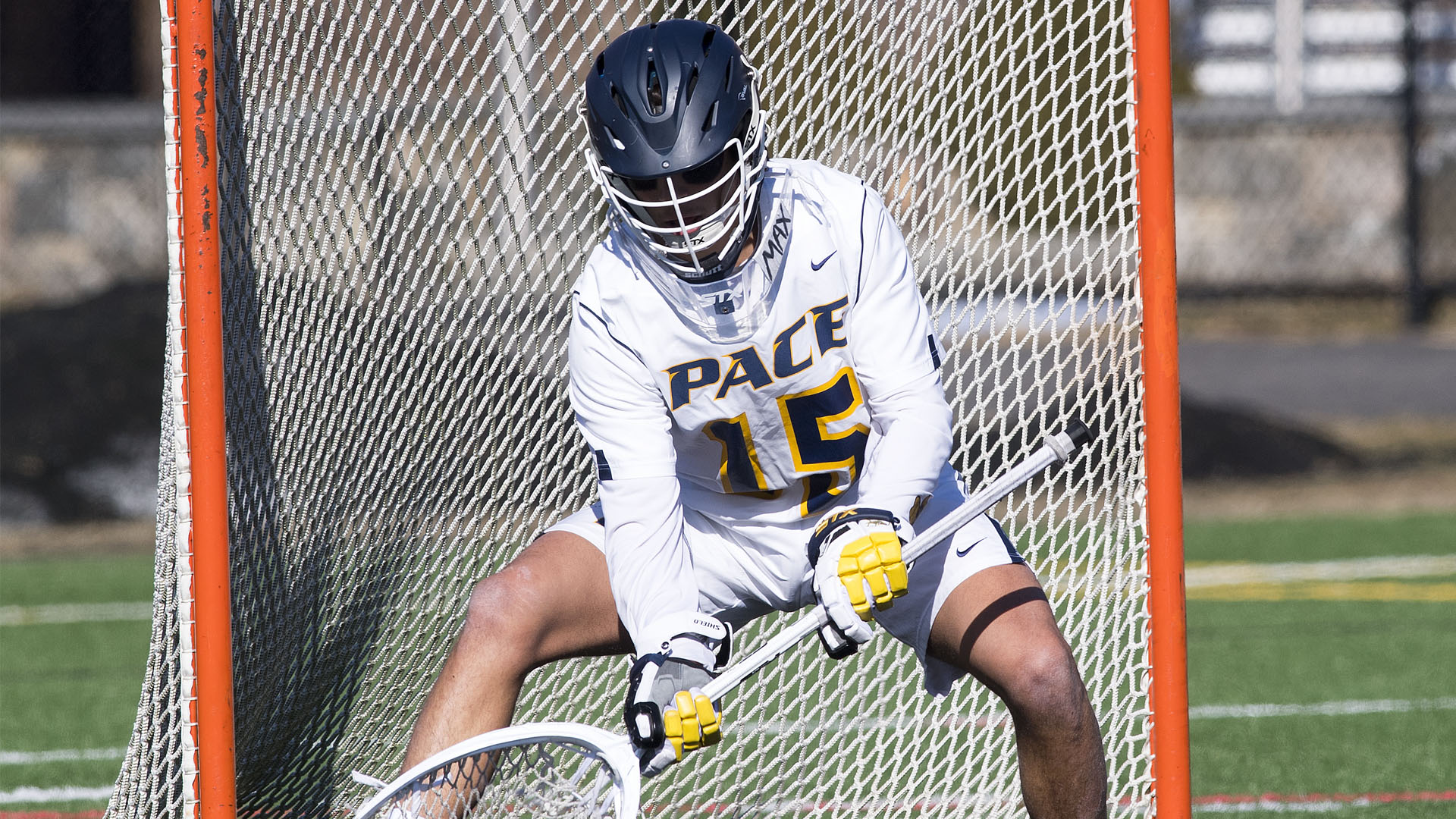 Louis Ragusa - 2023 - Men's Lacrosse - Pace University Athletics