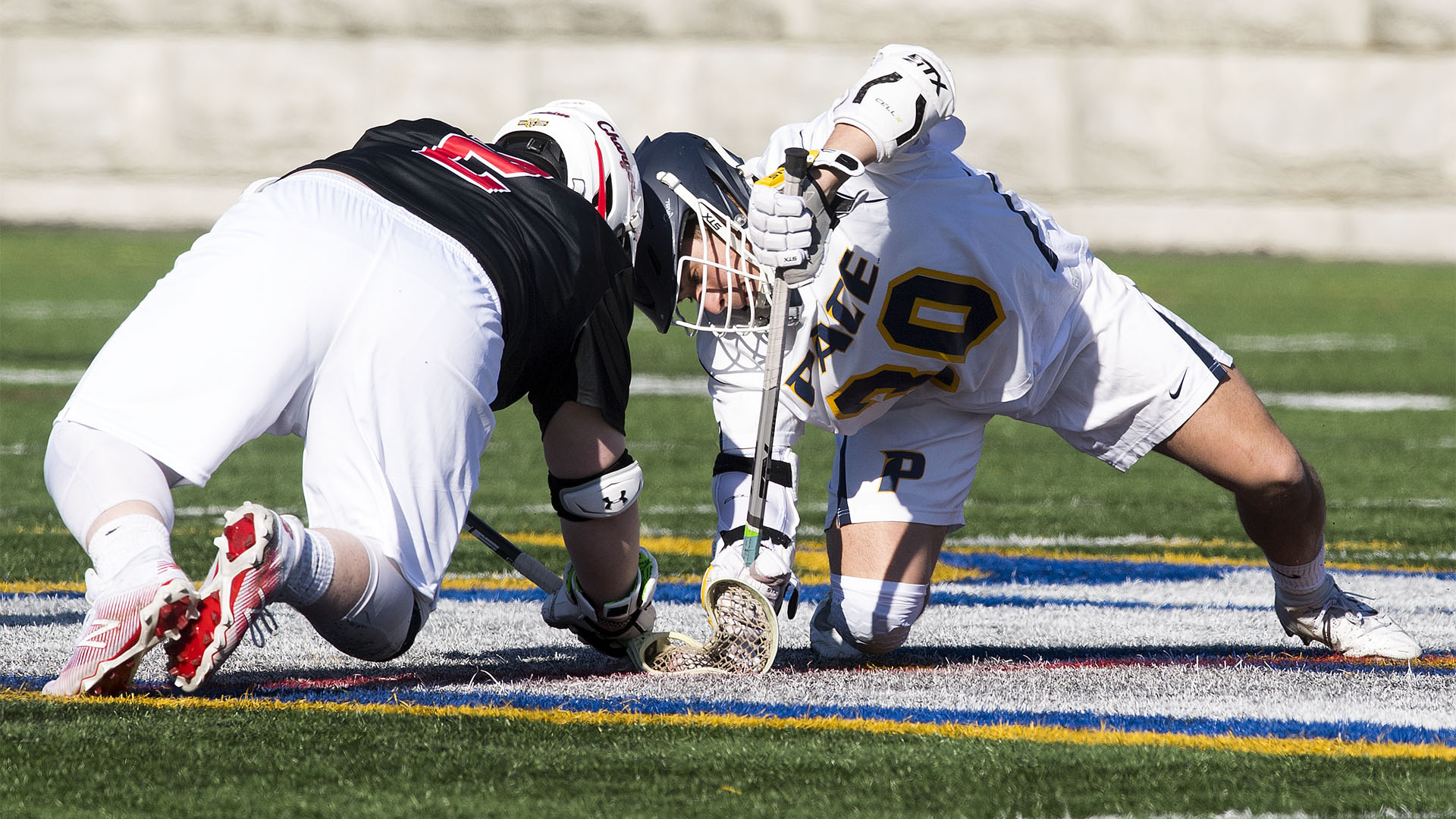 Matthew Fermo - 2020 - Men's Lacrosse - Pace University Athletics