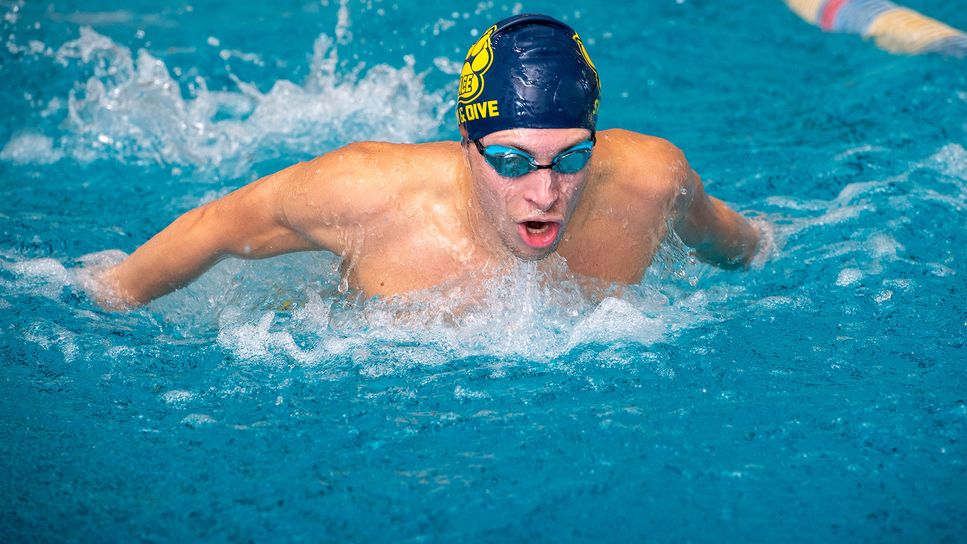 Tyler Besnoff - 2023-24 - Men's Swimming and Diving - Pace University ...