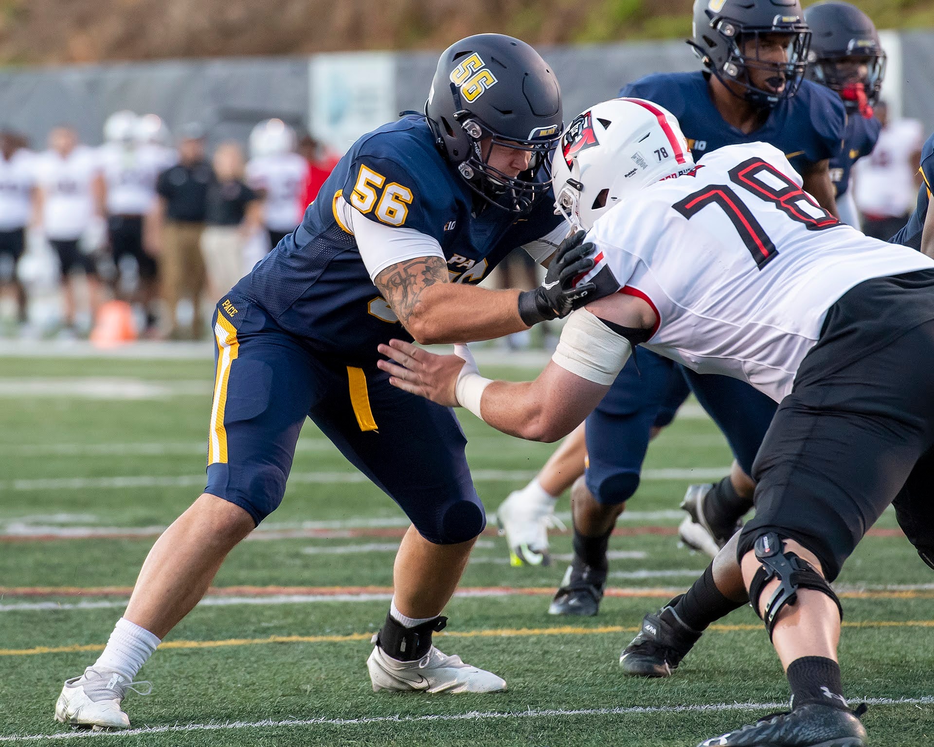 Jack Romer - 2023 - Football - Pace University Athletics