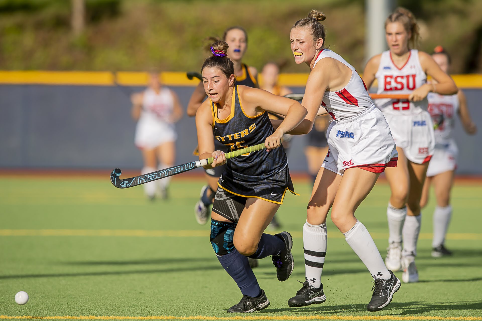 Pace Field Hockey Shuts Out Saint Michael's, 2-0 - Pace University ...
