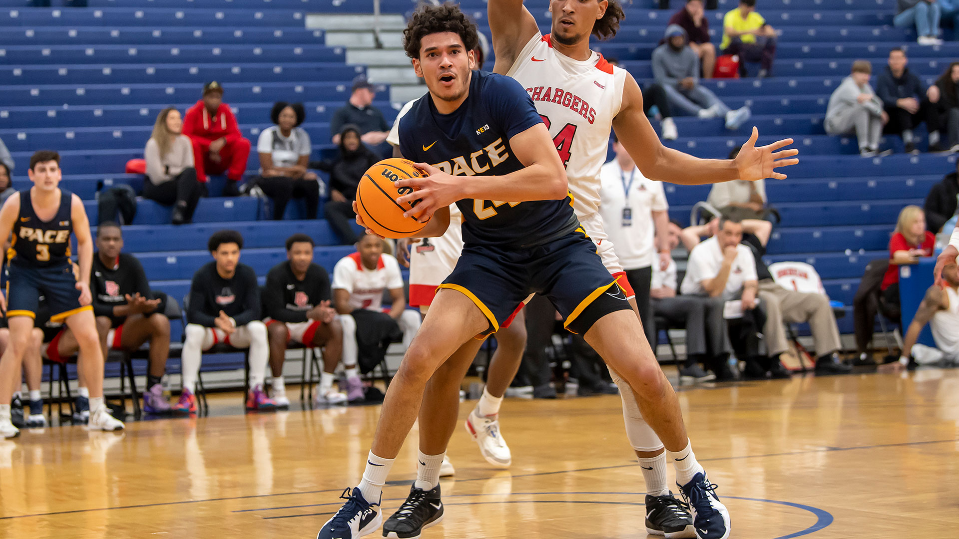 Pace Men's Basketball Defeats Molloy, 71-55 In Season-Opener - Pace University Athletics