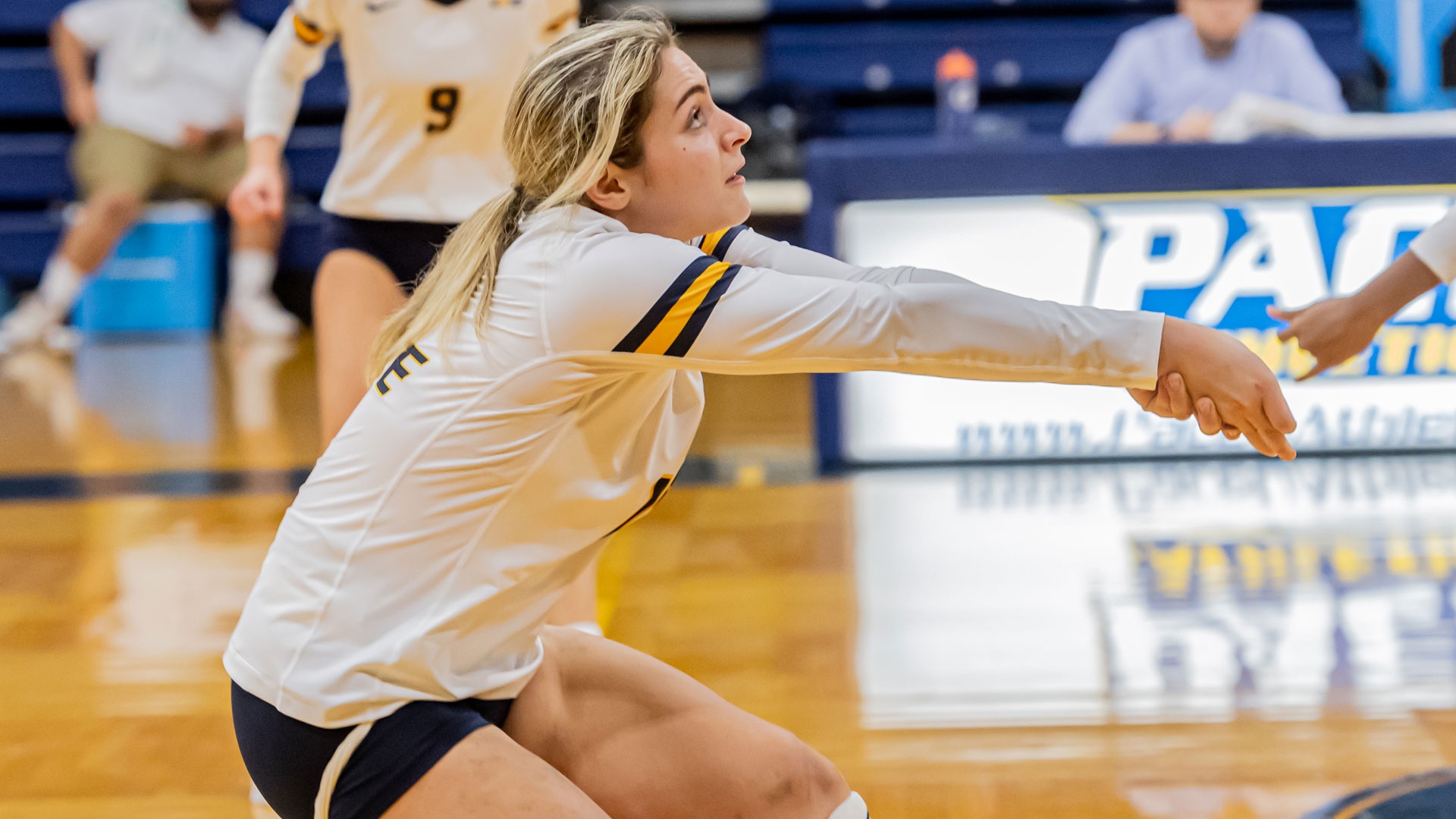 Pace Volleyball Drops Three-Setter at Adelphi - Pace University Athletics