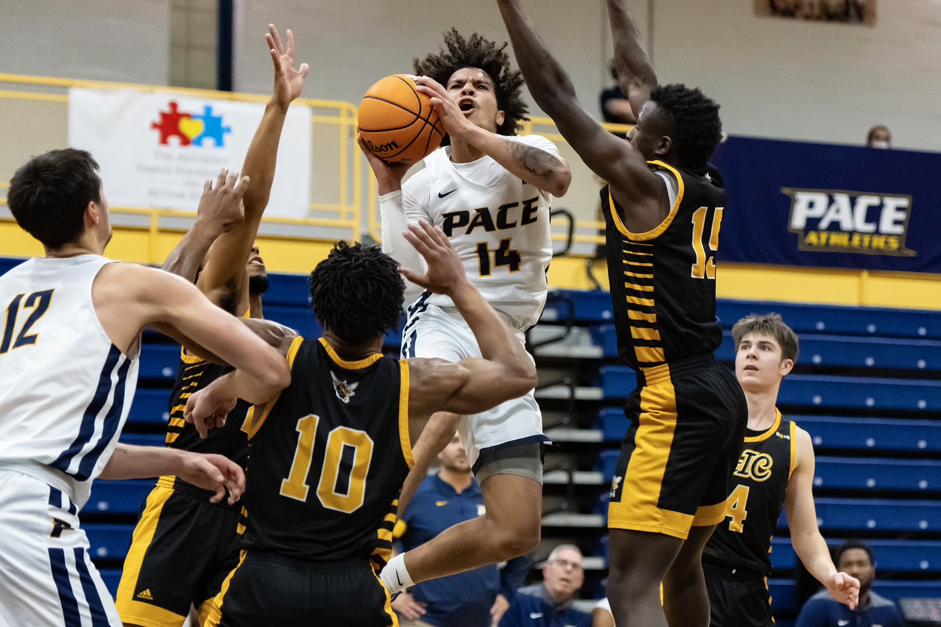 Brandon Powell - 2022-23 - Men's Basketball - Pace University Athletics
