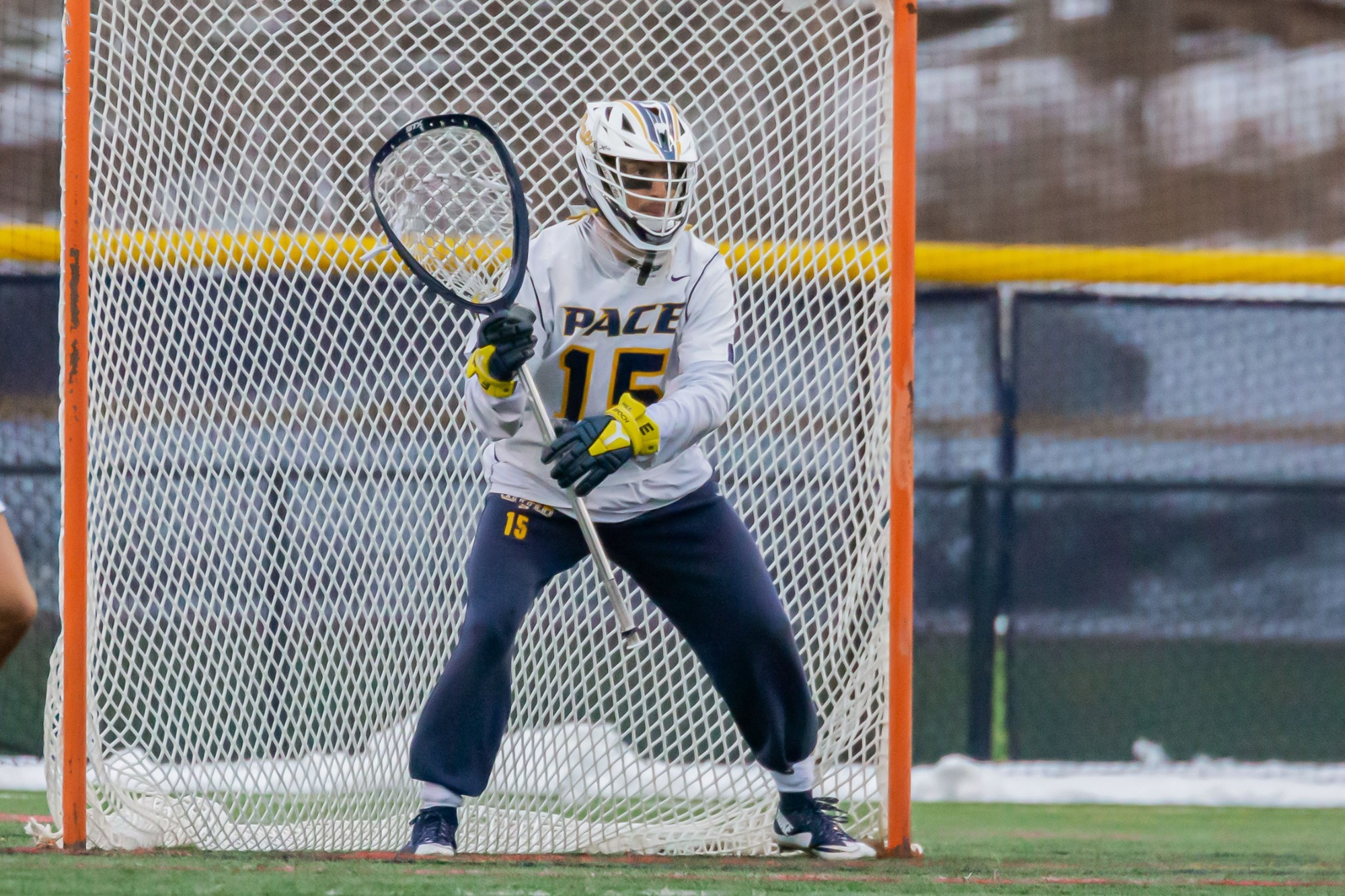 Men’s Lacrosse Defeated by Saint Anselm in NE10 Conference Championship ...