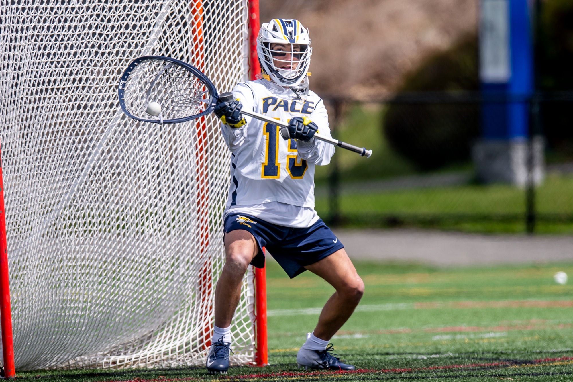 Louis Ragusa - 2023 - Men's Lacrosse - Pace University Athletics