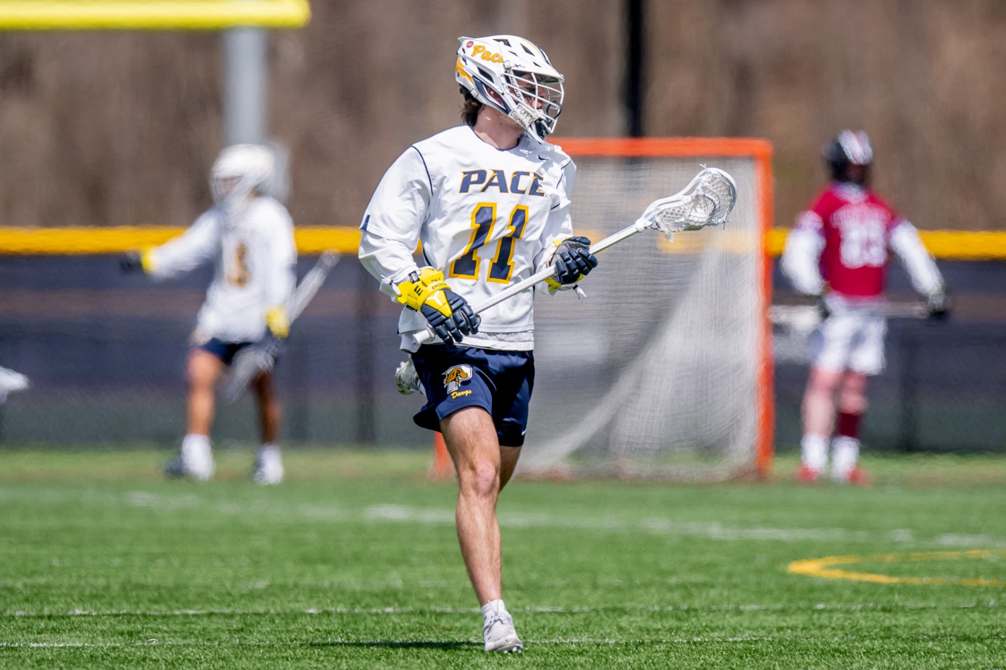 Rowan Kelly - 2024 - Men's Lacrosse - Pace University Athletics
