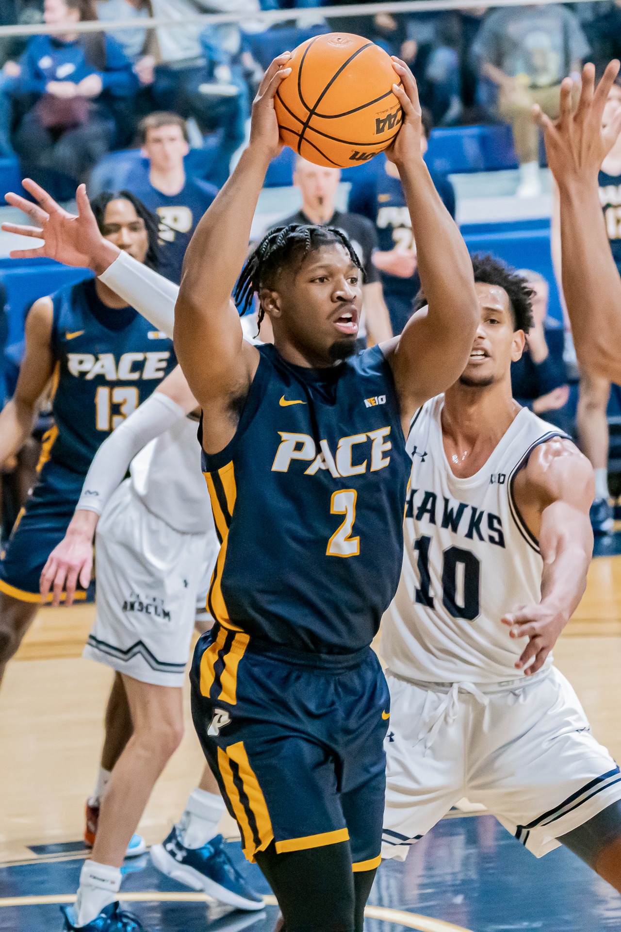 Adonis Williams - 2022-23 - Men's Basketball - Pace University Athletics