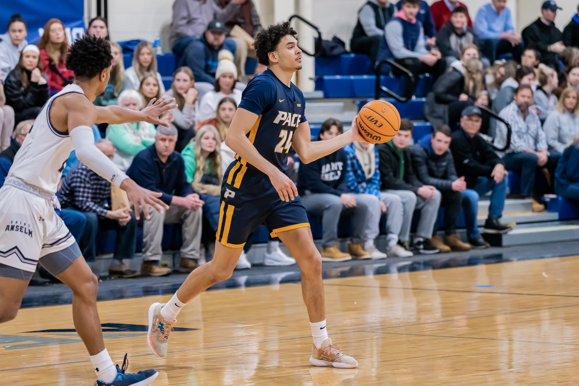 Bryan Powell - 2023-24 - Men's Basketball - Pace University Athletics