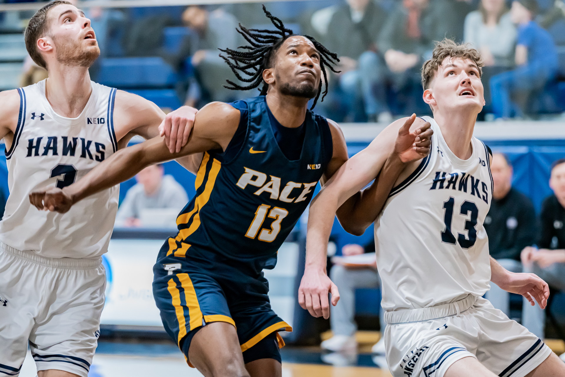 Frankyn Batista - 2022-23 - Men's Basketball - Pace University Athletics