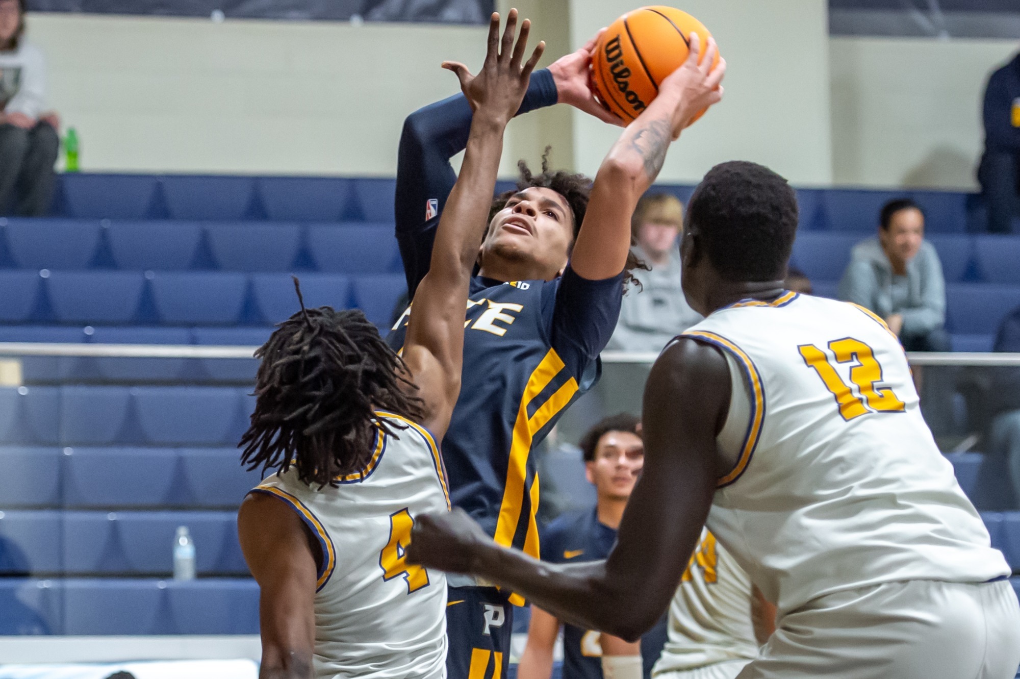 Brandon Powell - 2022-23 - Men's Basketball - Pace University Athletics