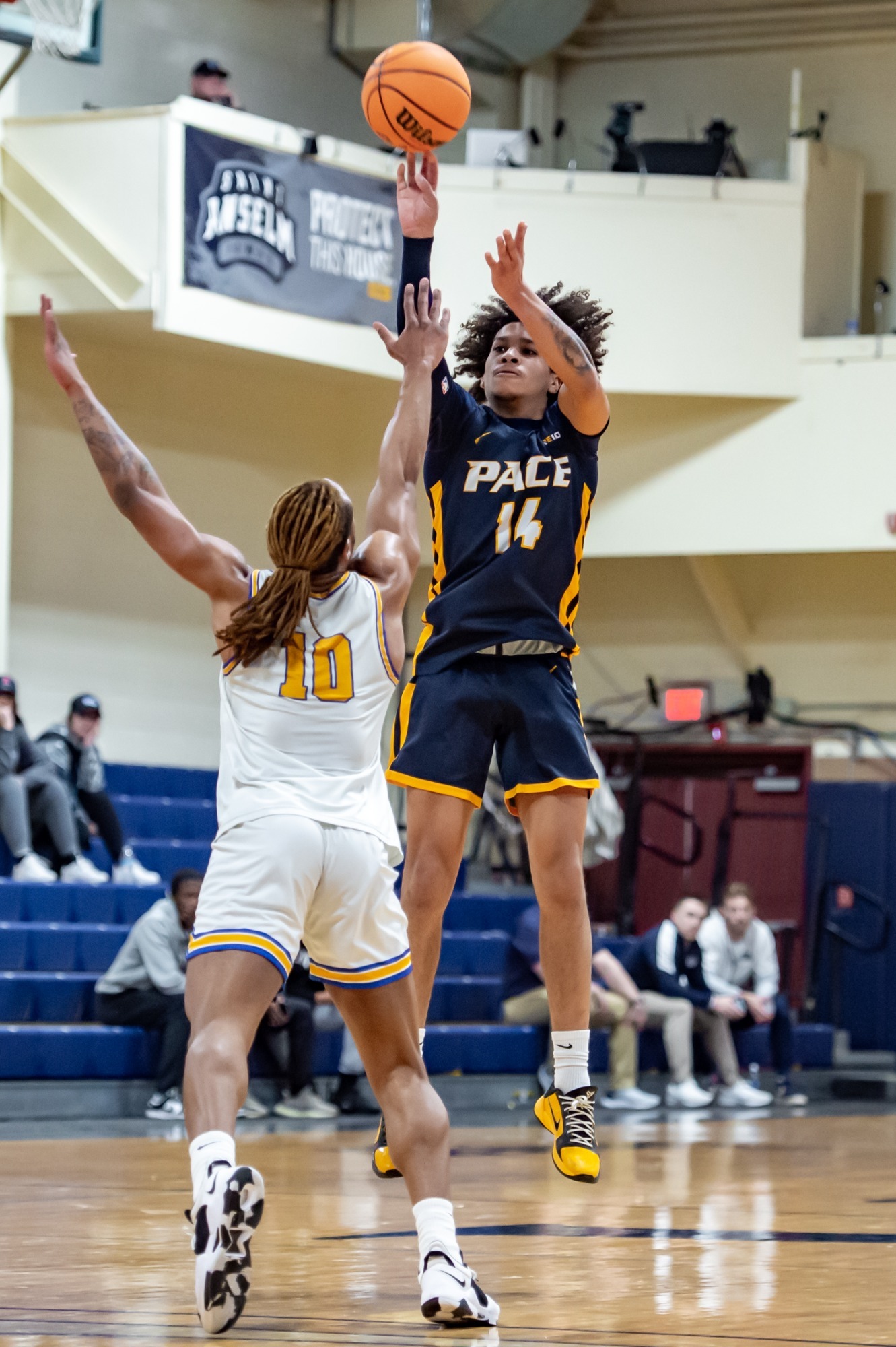 Brandon Powell - 2022-23 - Men's Basketball - Pace University Athletics