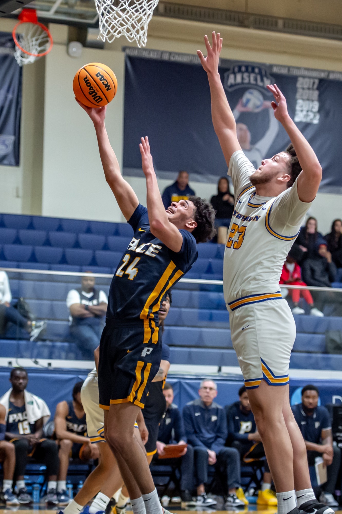 Bryan Powell - 2023-24 - Men's Basketball - Pace University Athletics