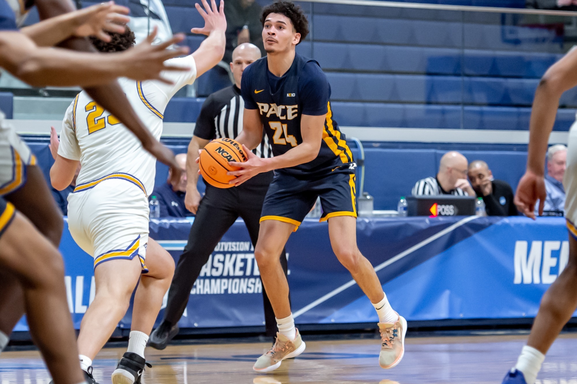 Bryan Powell - 2023-24 - Men's Basketball - Pace University Athletics