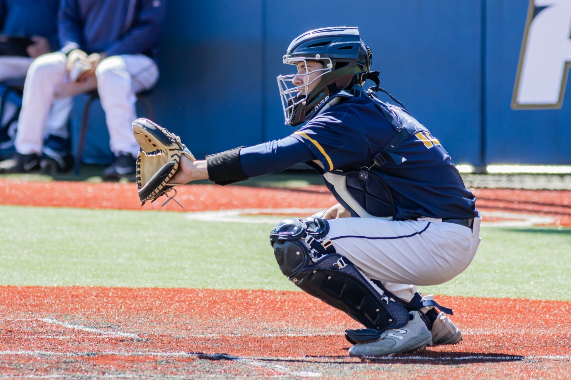 Hunter Goldstein - 2024 - Baseball - Pace University Athletics