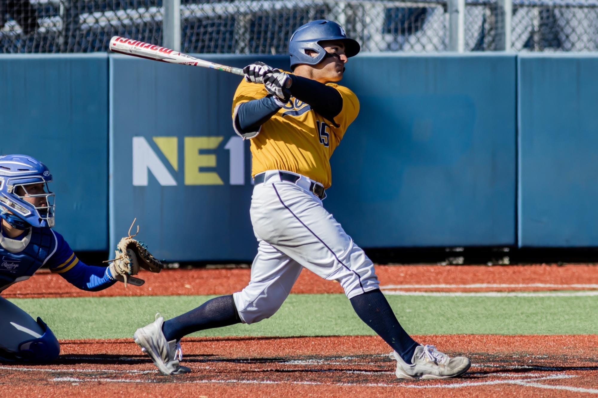 Matthew Rinaldi - 2024 - Baseball - Pace University Athletics