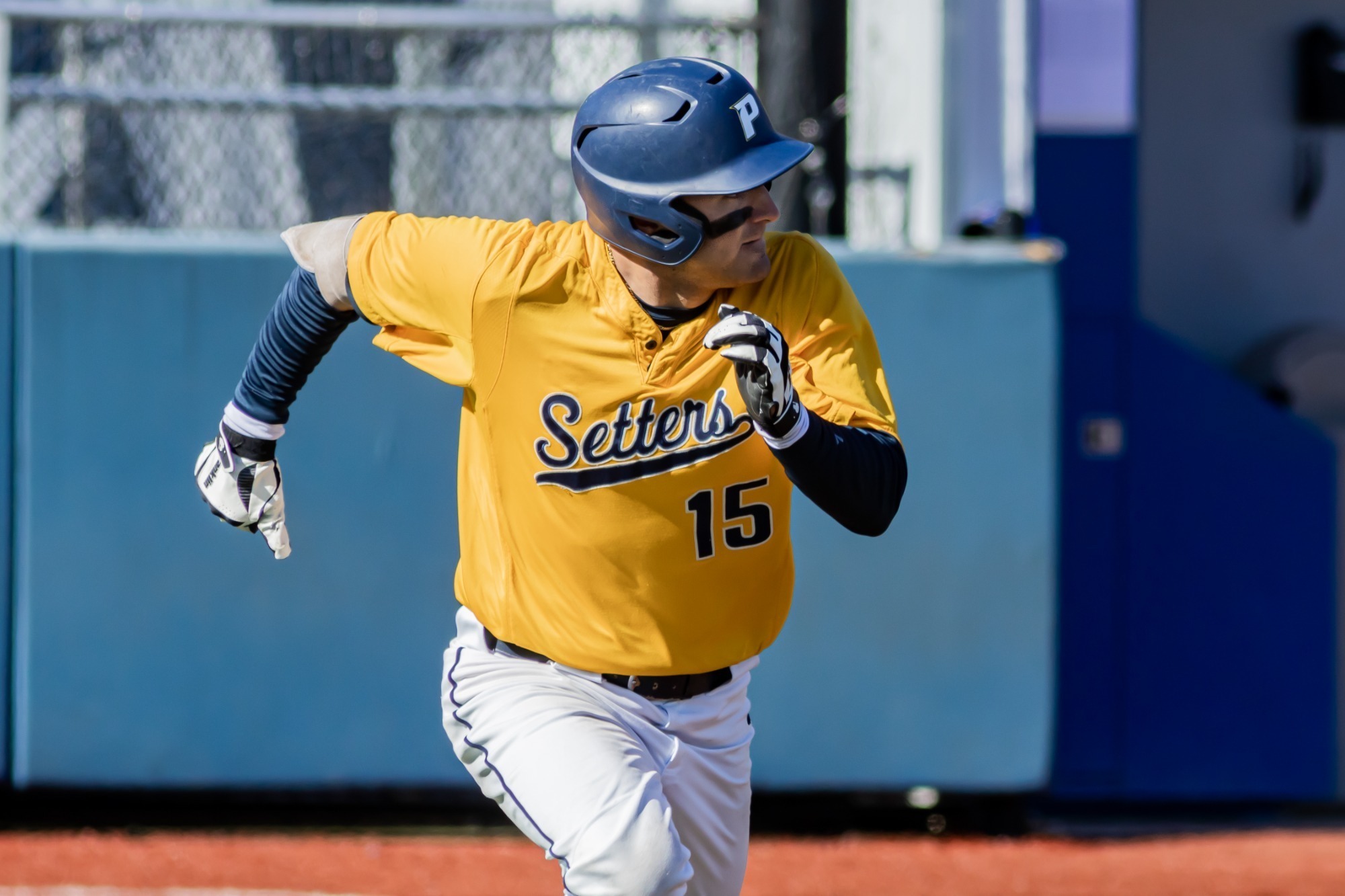 Matthew Rinaldi - 2024 - Baseball - Pace University Athletics